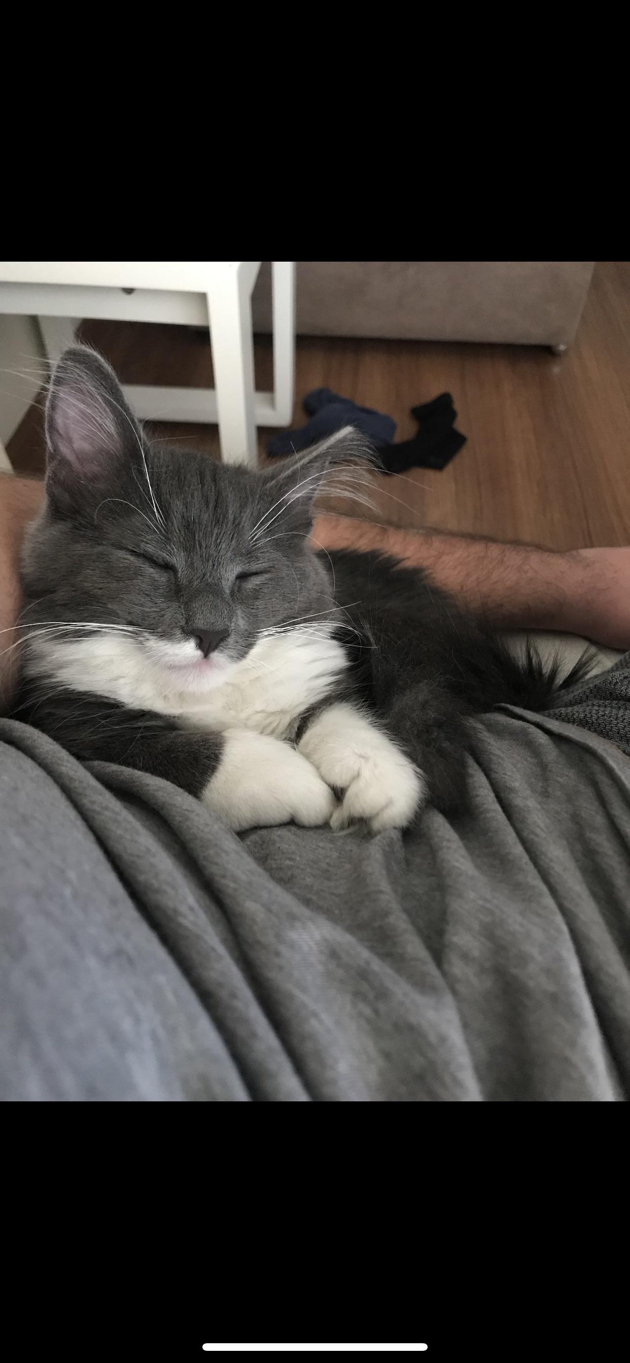 I took this picture one week after she adopted me. | Scrolller