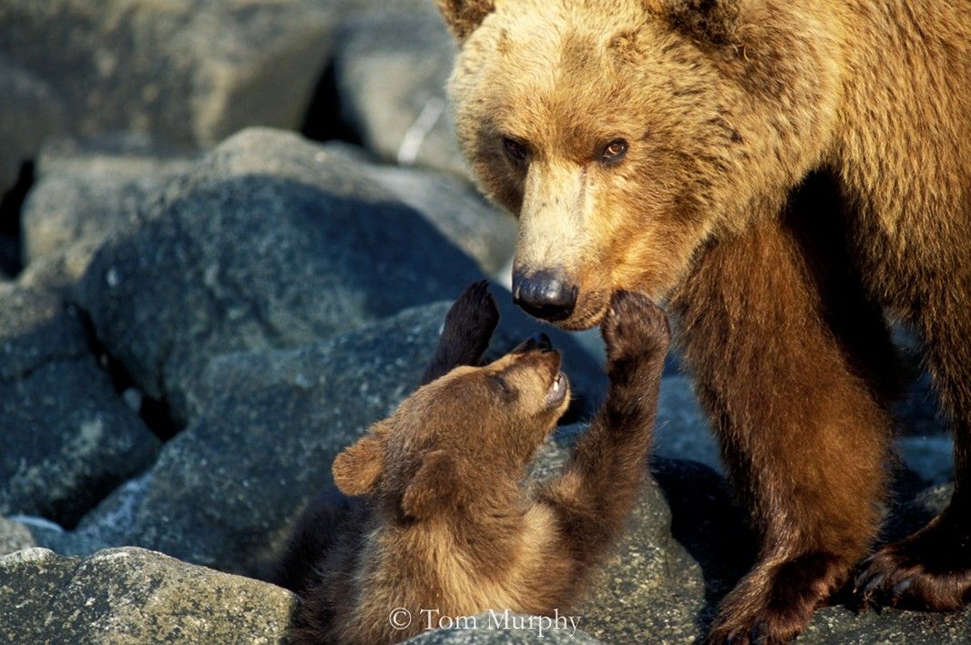 I wanna hug! | Scrolller