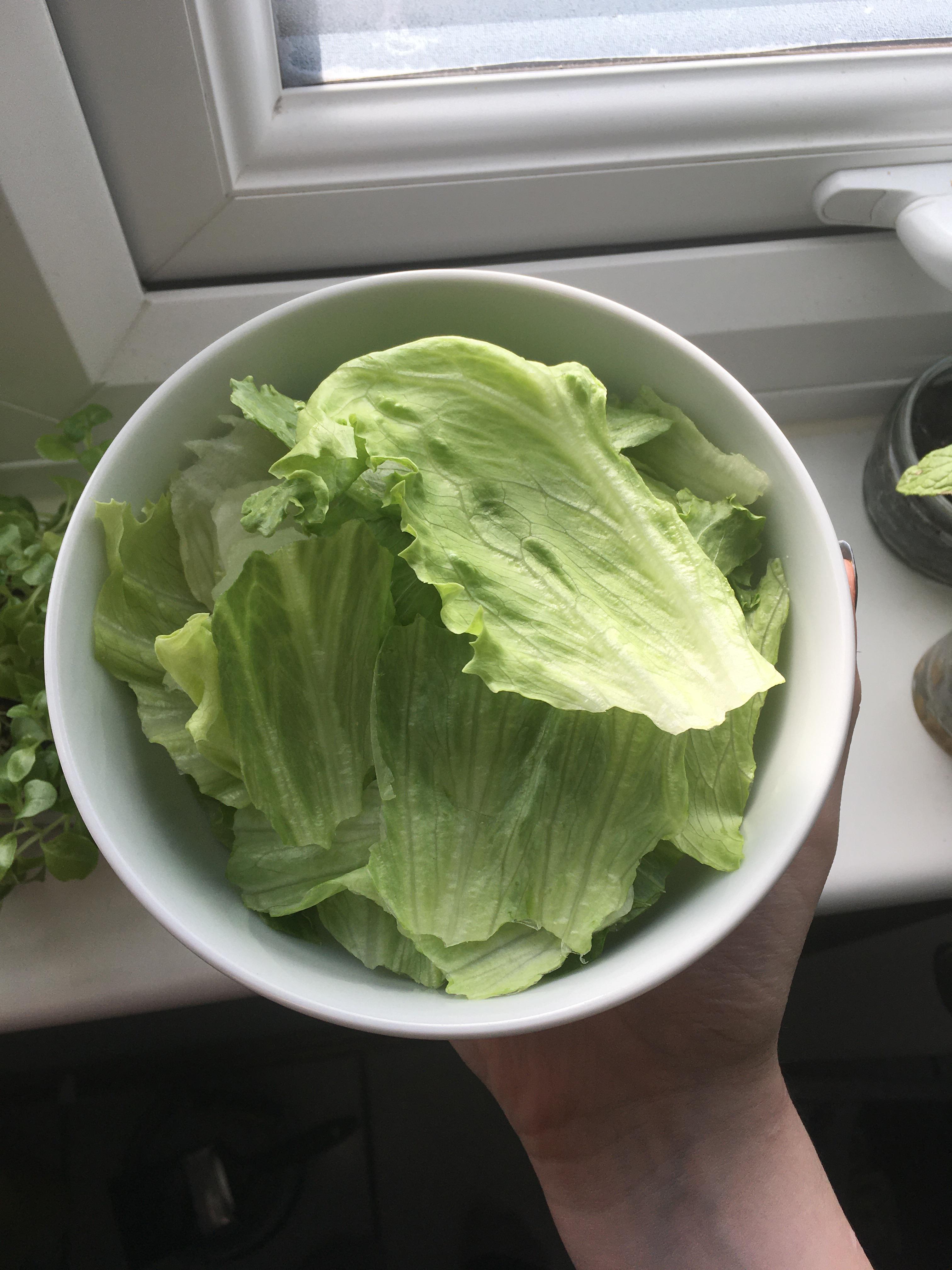 Iceberg lettuce because who needs nutrients | Scrolller
