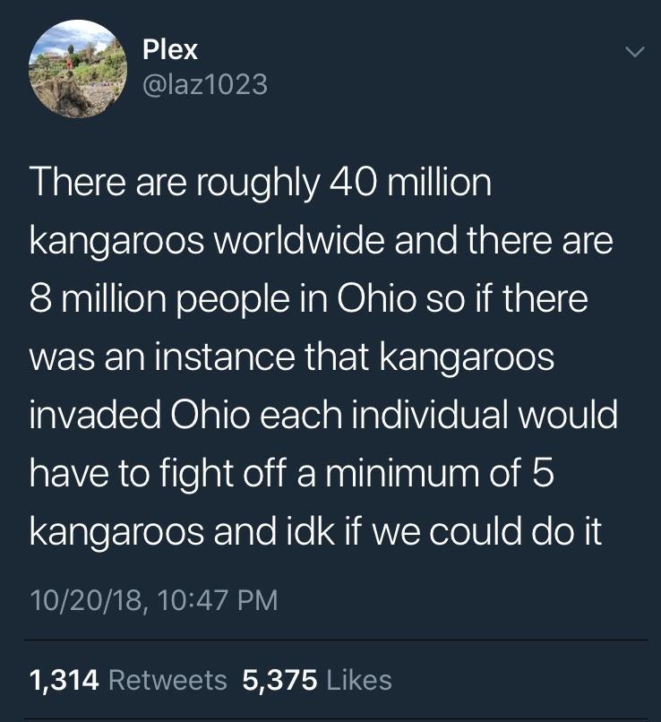 Five kangaroo bois | Scrolller