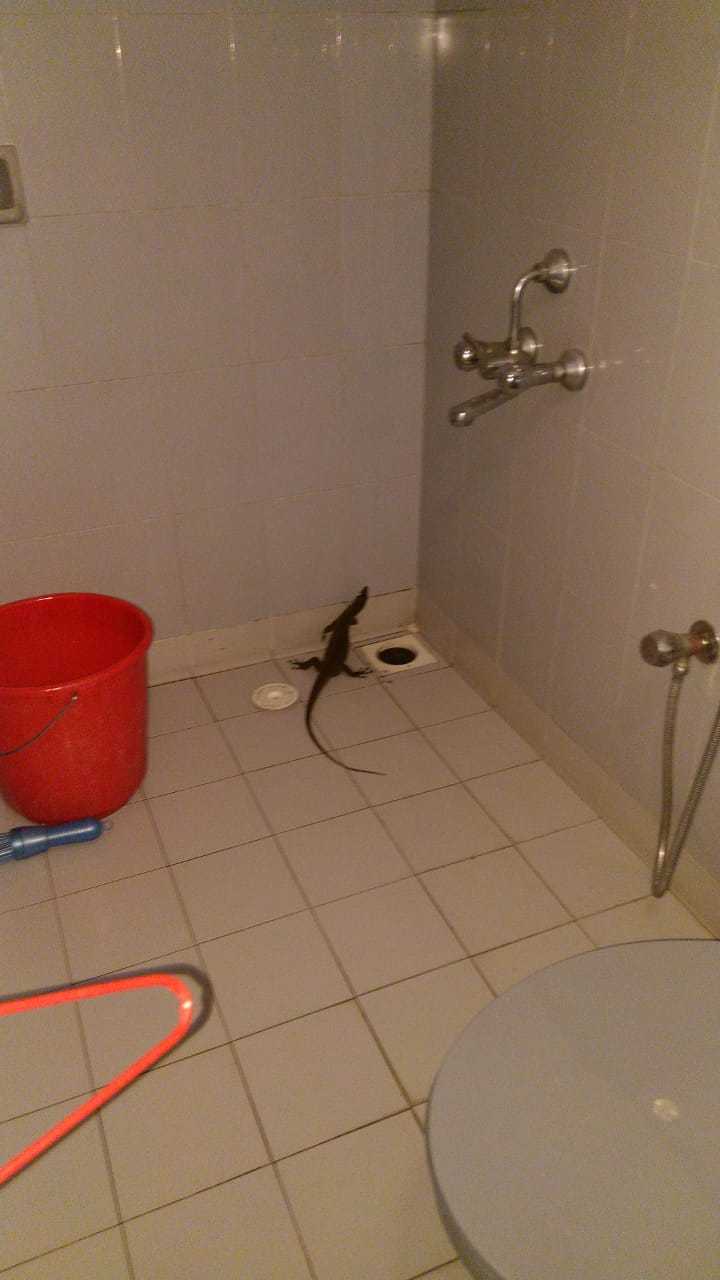 If you thought my mushroom switchboards were cursed, check my downstairs bathroom :) | Scrolller