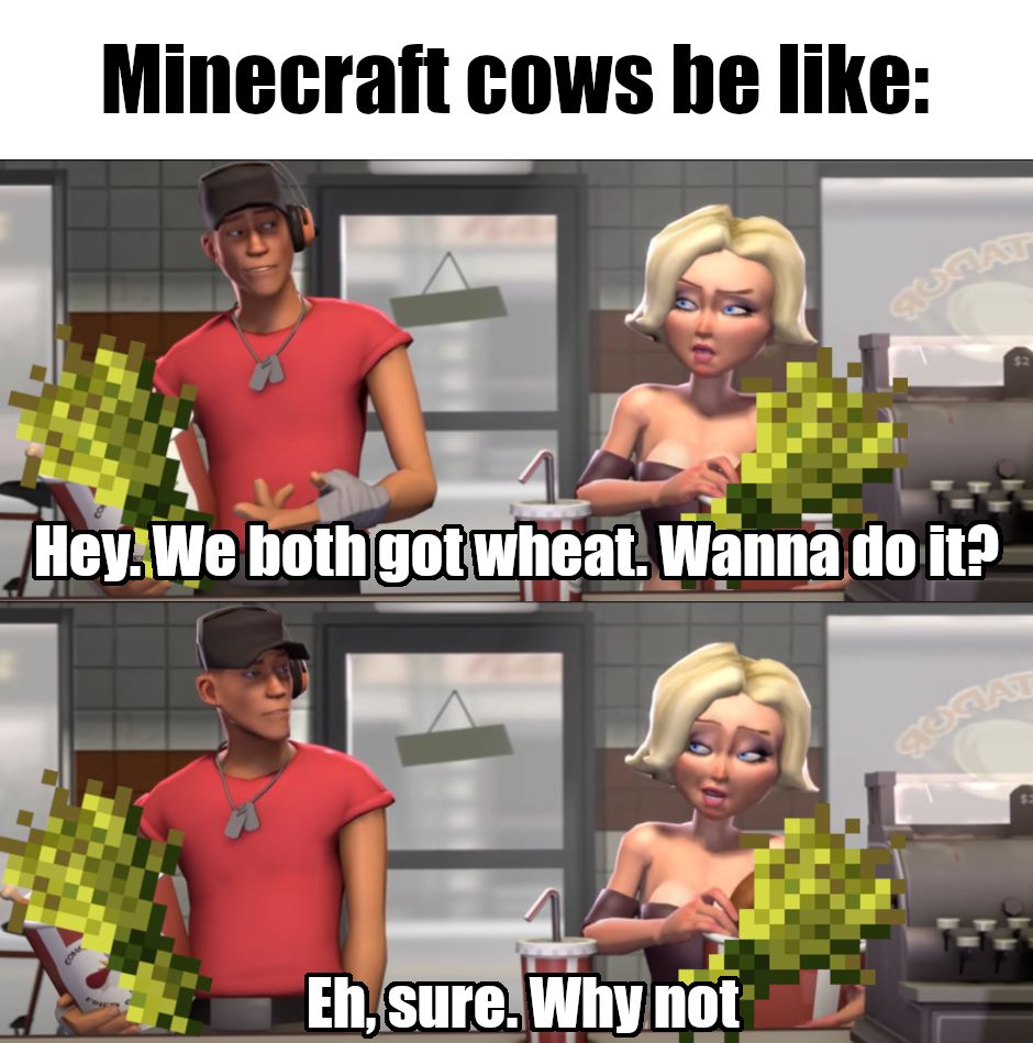 If you understand this reference, you a real one | Scrolller