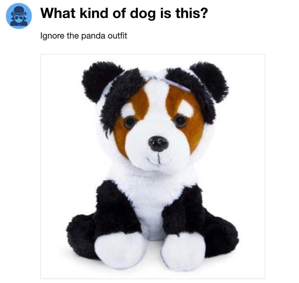 Ignore the panda outfit | Scrolller