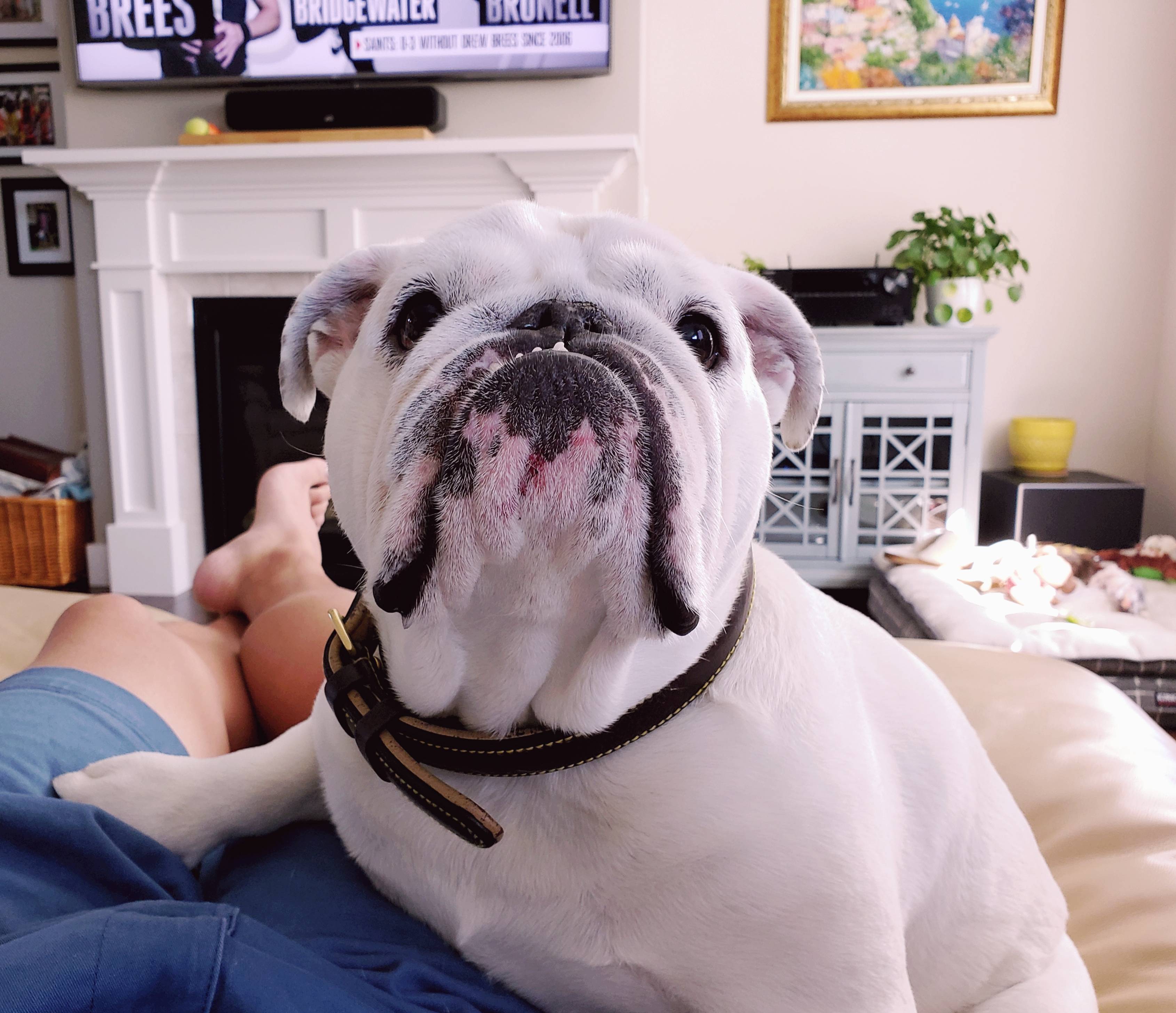 "I'll let you leave if you give me some of that sammich"‐ Ms.Beignet | Scrolller