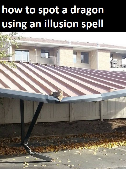 illusion 100 | Scrolller