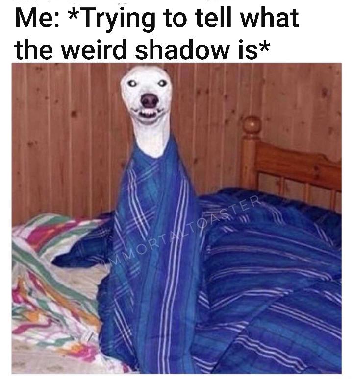 Im afraid | Scrolller