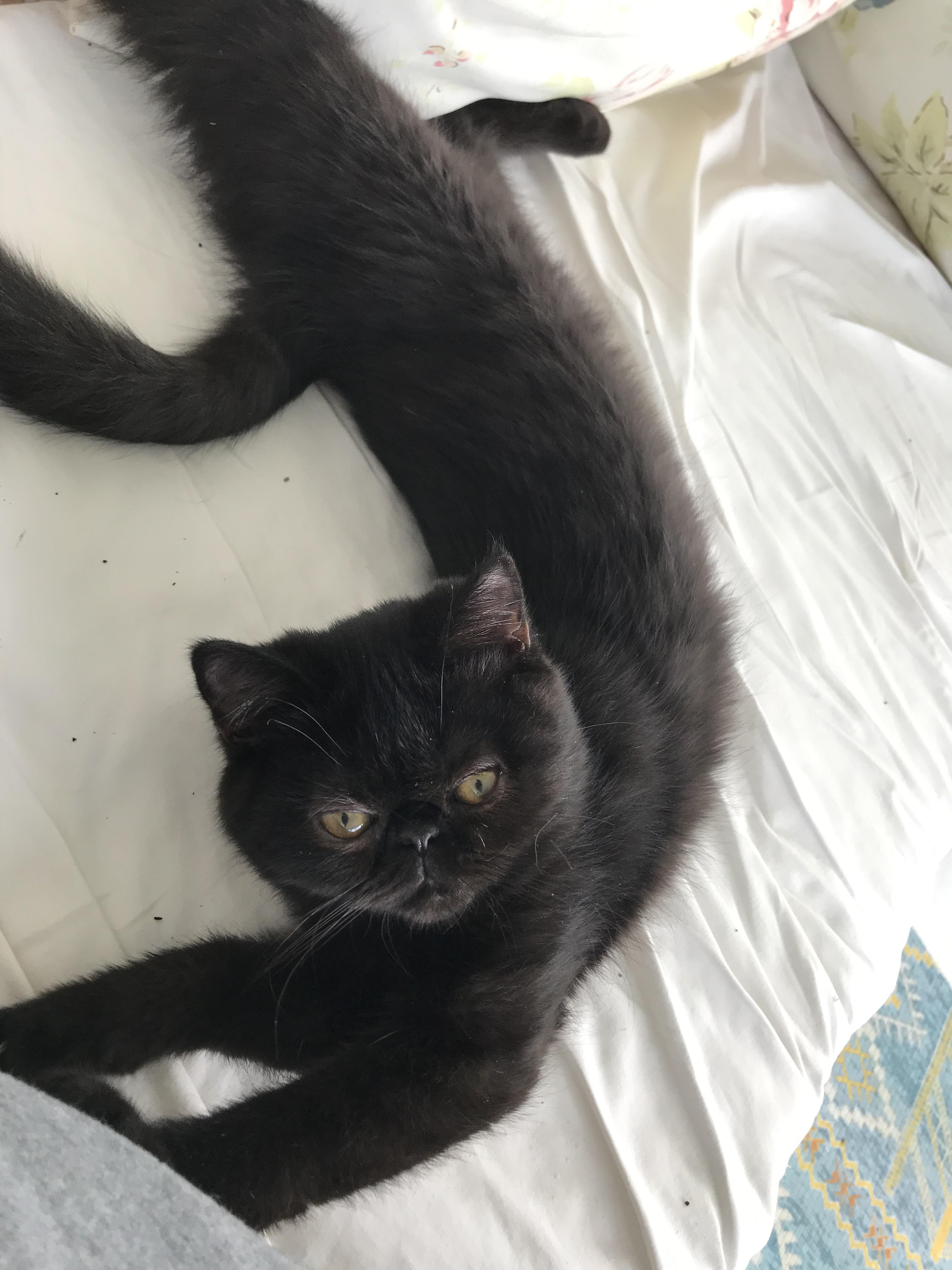 I'm terrified | Scrolller