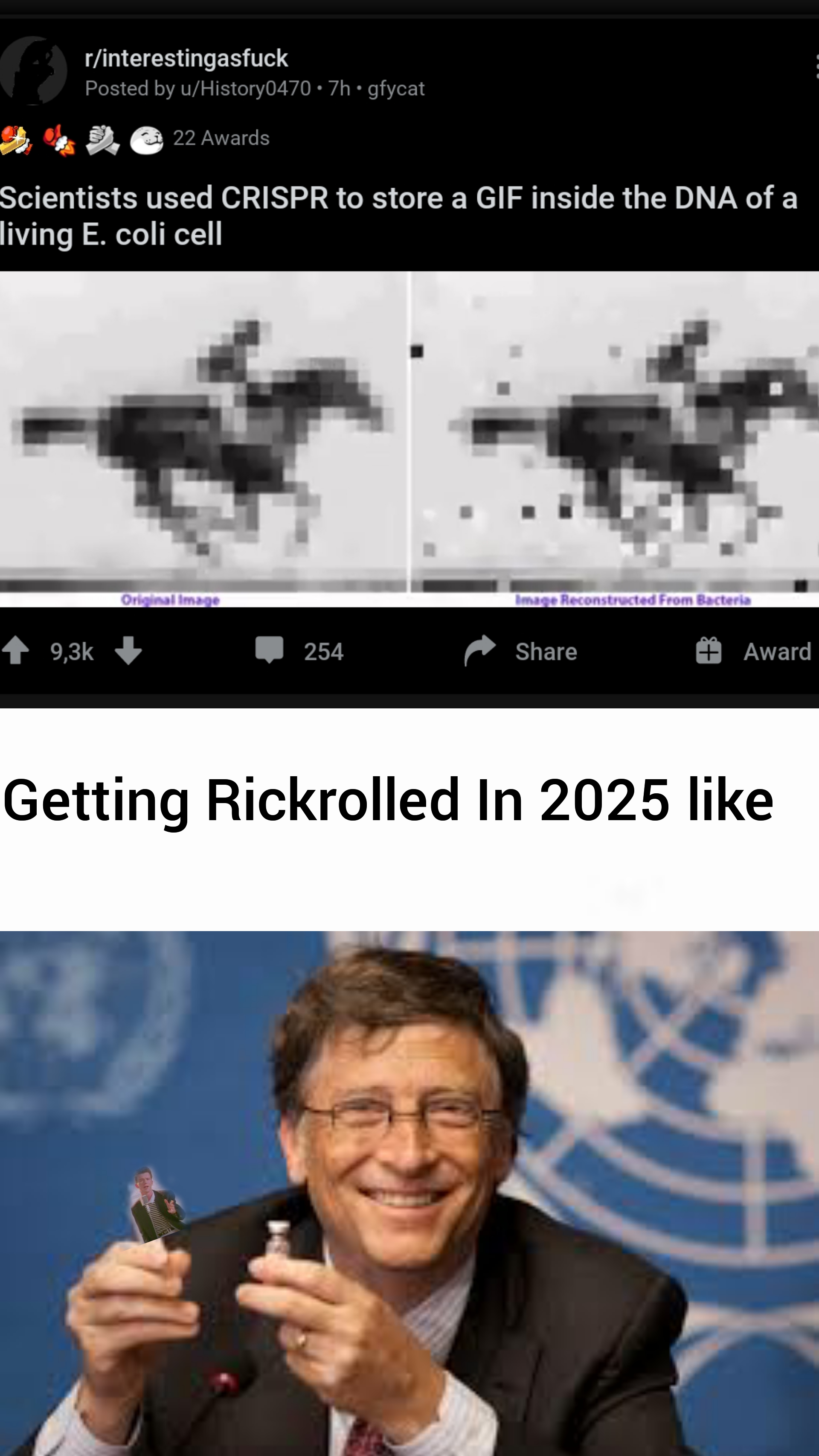 im too stoopid to make it an actual rickroll | Scrolller