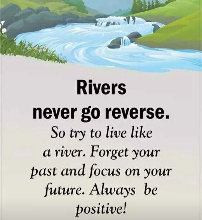 [Image] Rivers never go reverse | Scrolller
