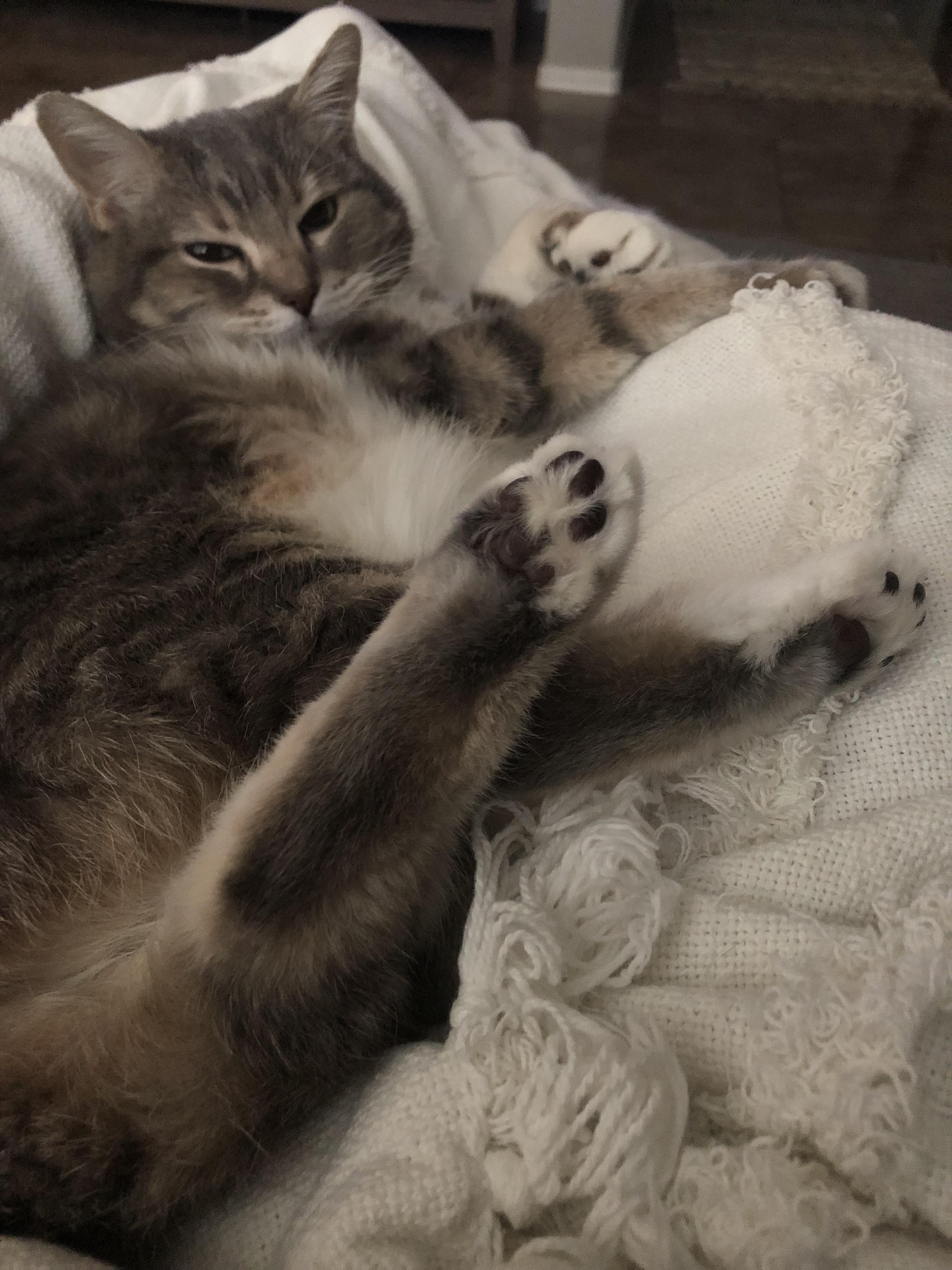 Impressed with her own beans! | Scrolller