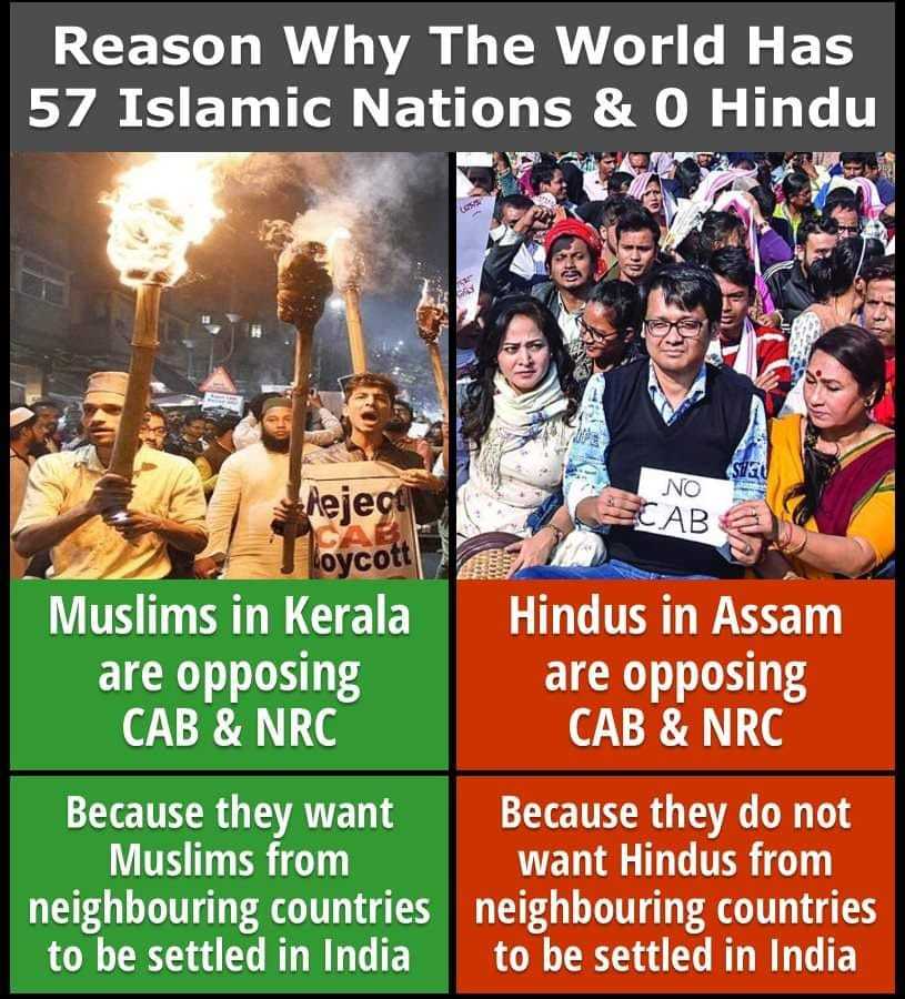 In a nutshell | Scrolller