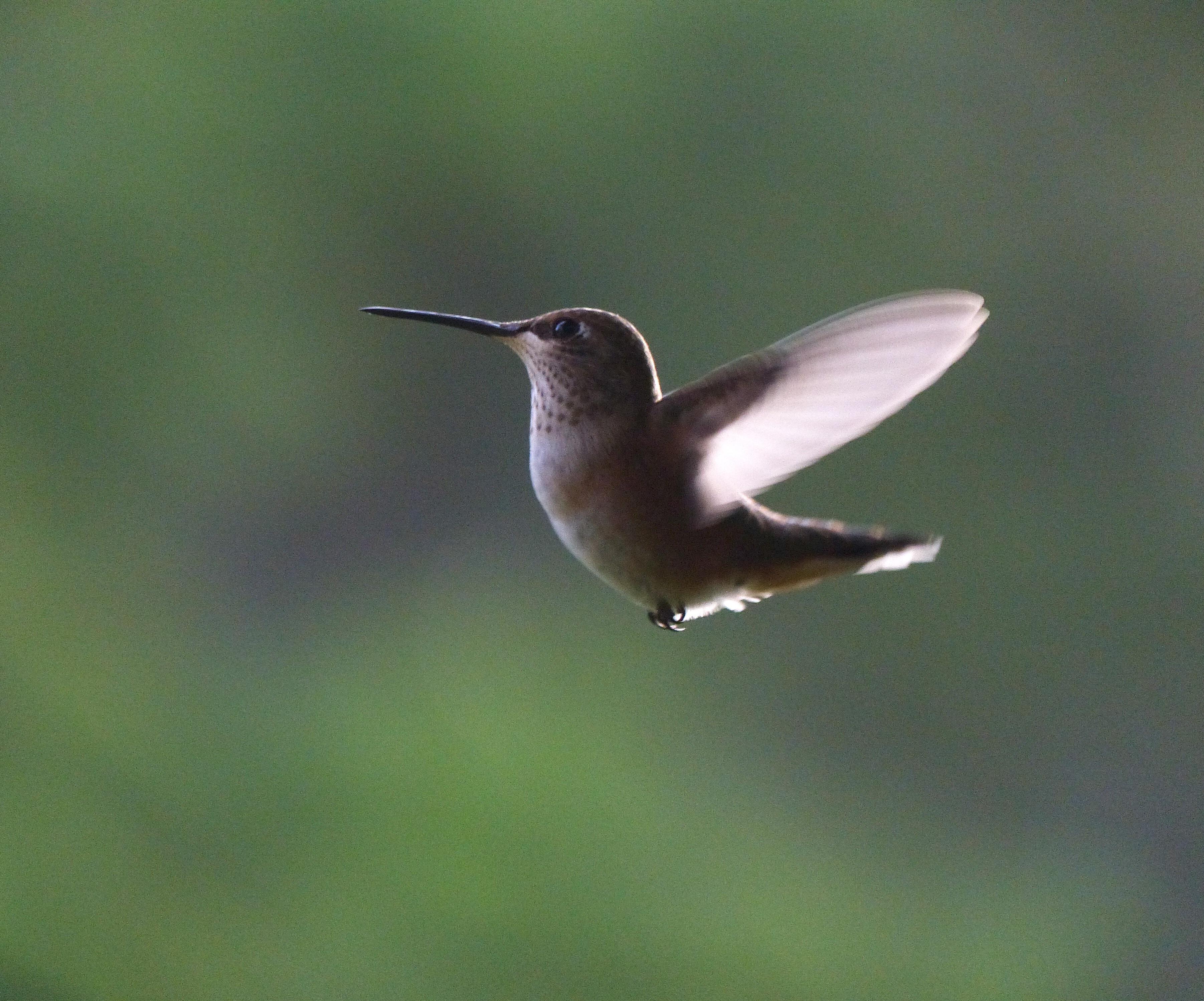 In flight ️ | Scrolller