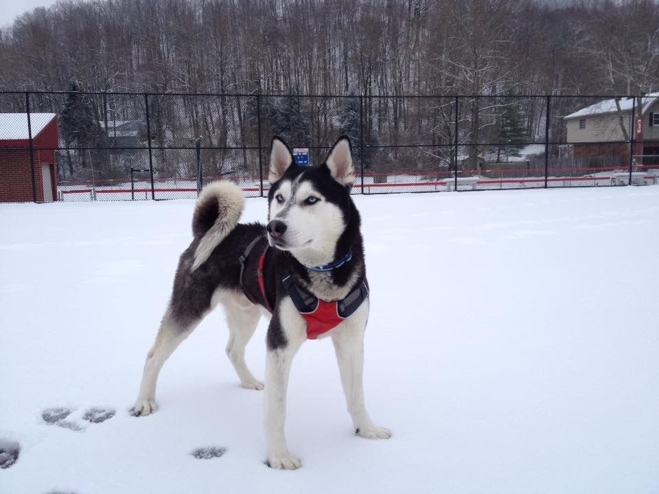 In his element | Scrolller