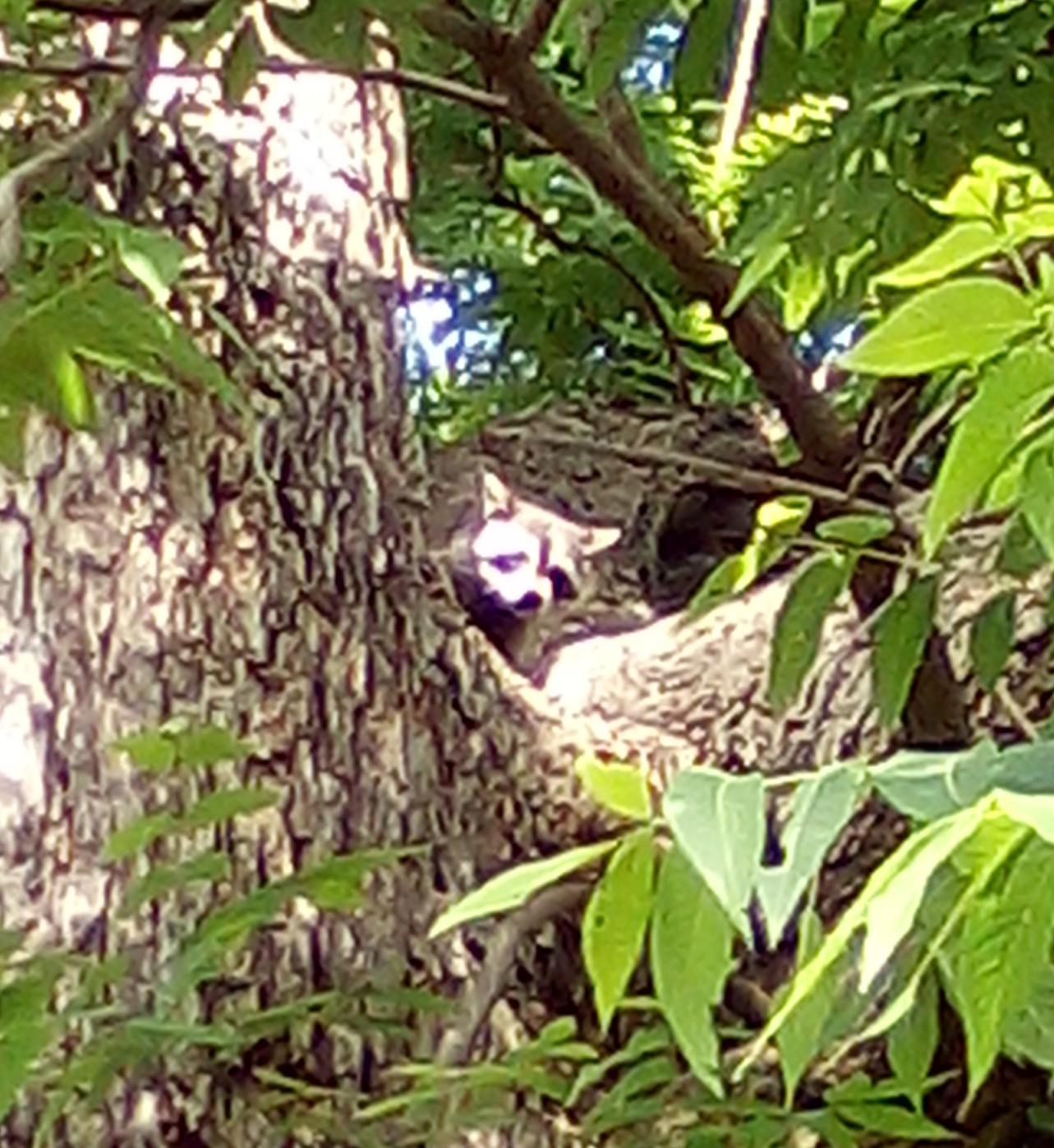 In my backyard... | Scrolller