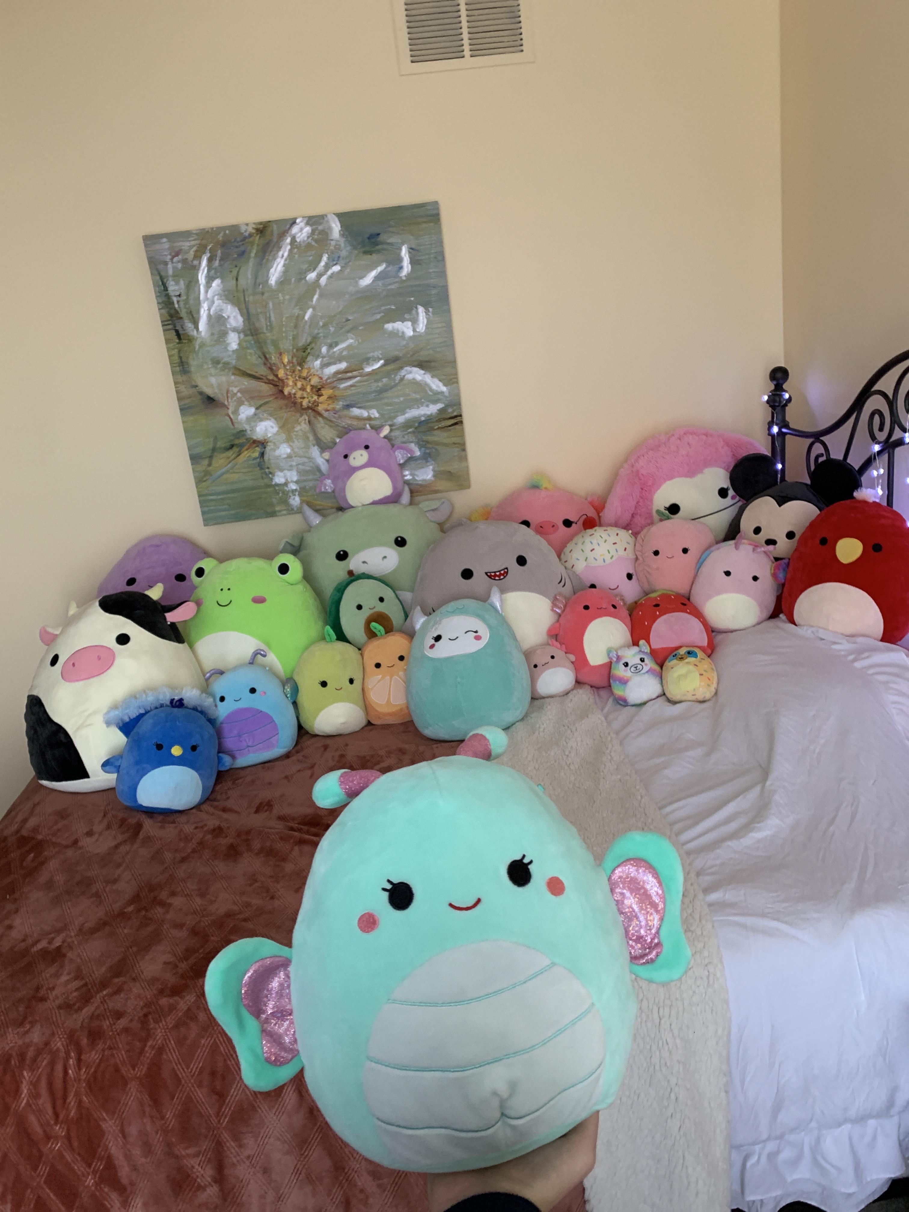 In my hand is the Squishmallow that started my collection:) | Scrolller