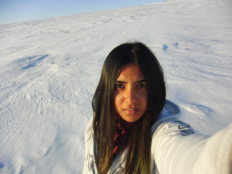 In the Arctic | Scrolller