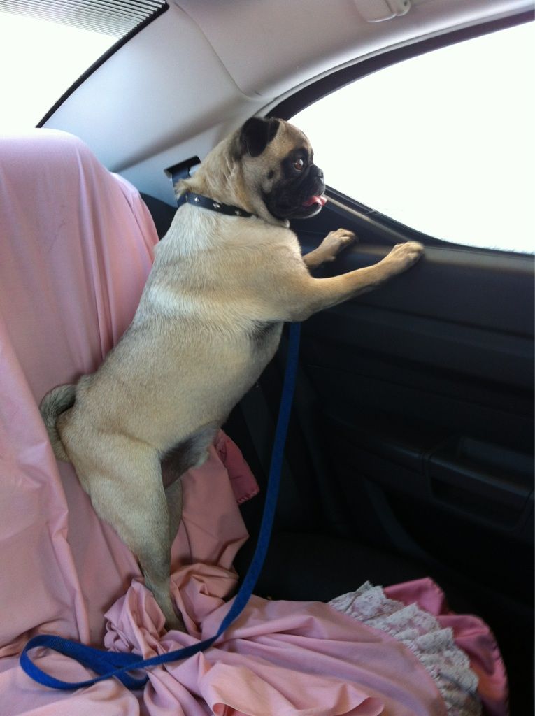 In the taco casa drive through | Scrolller