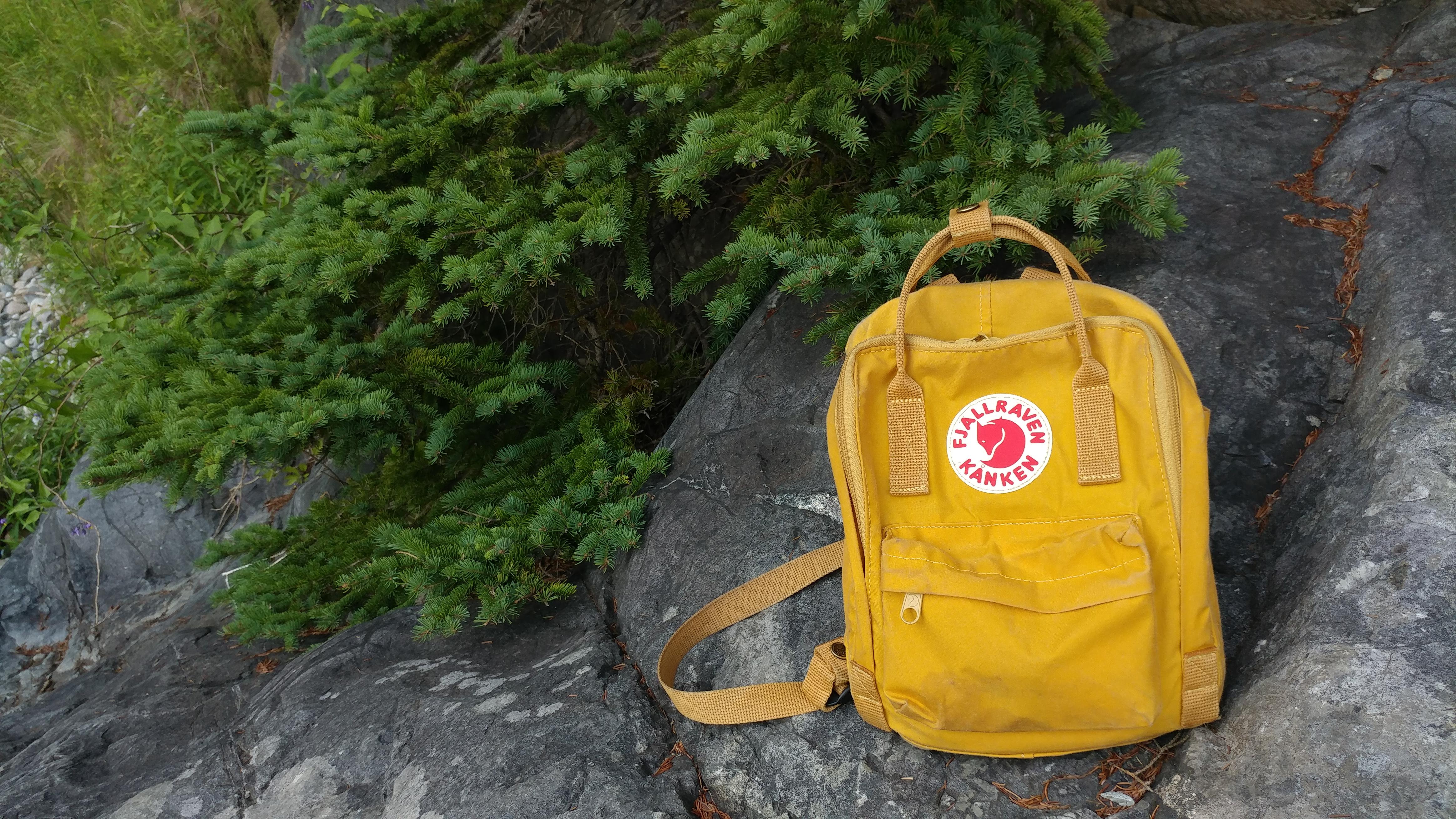 In the wild: Acadia National Park | Scrolller