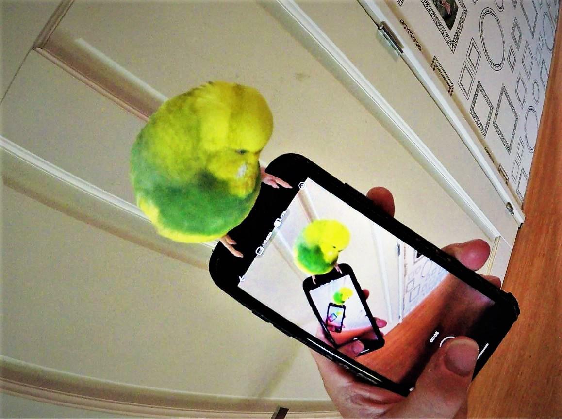 Inception.... | Scrolller