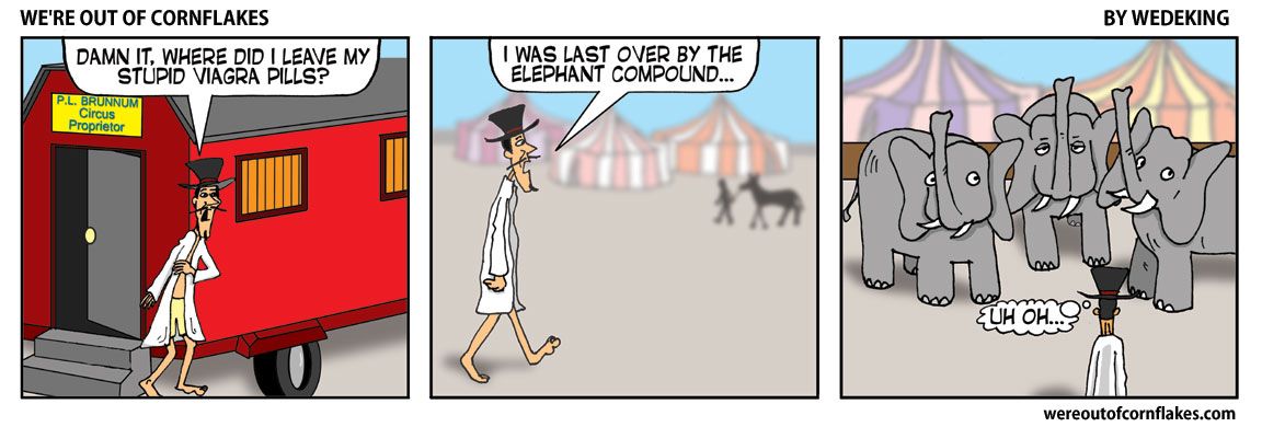 Incident at the circus | Scrolller