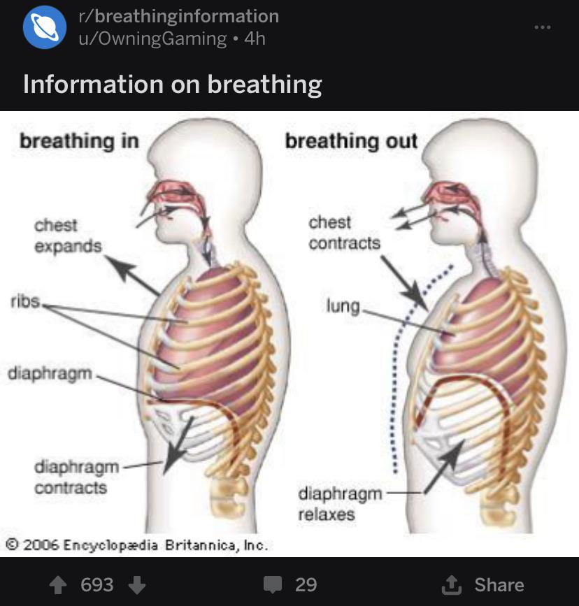 Information on breathing | Scrolller