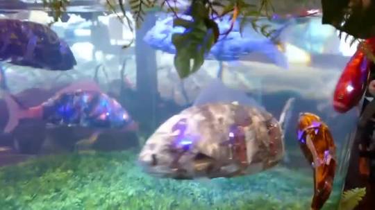 Insanely lifelike robotic fish in Japan | Scrolller