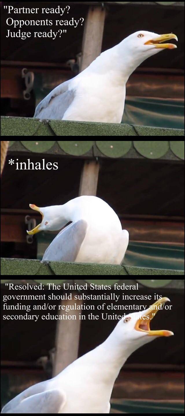 *insert debate meme | Scrolller