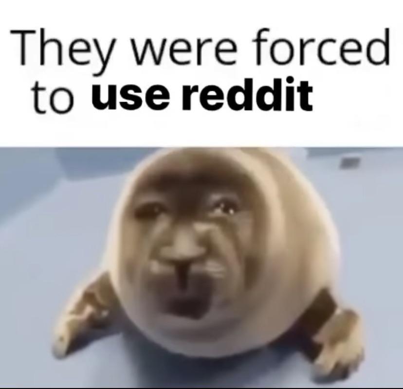 Insert joke for the 1000th time | Scrolller