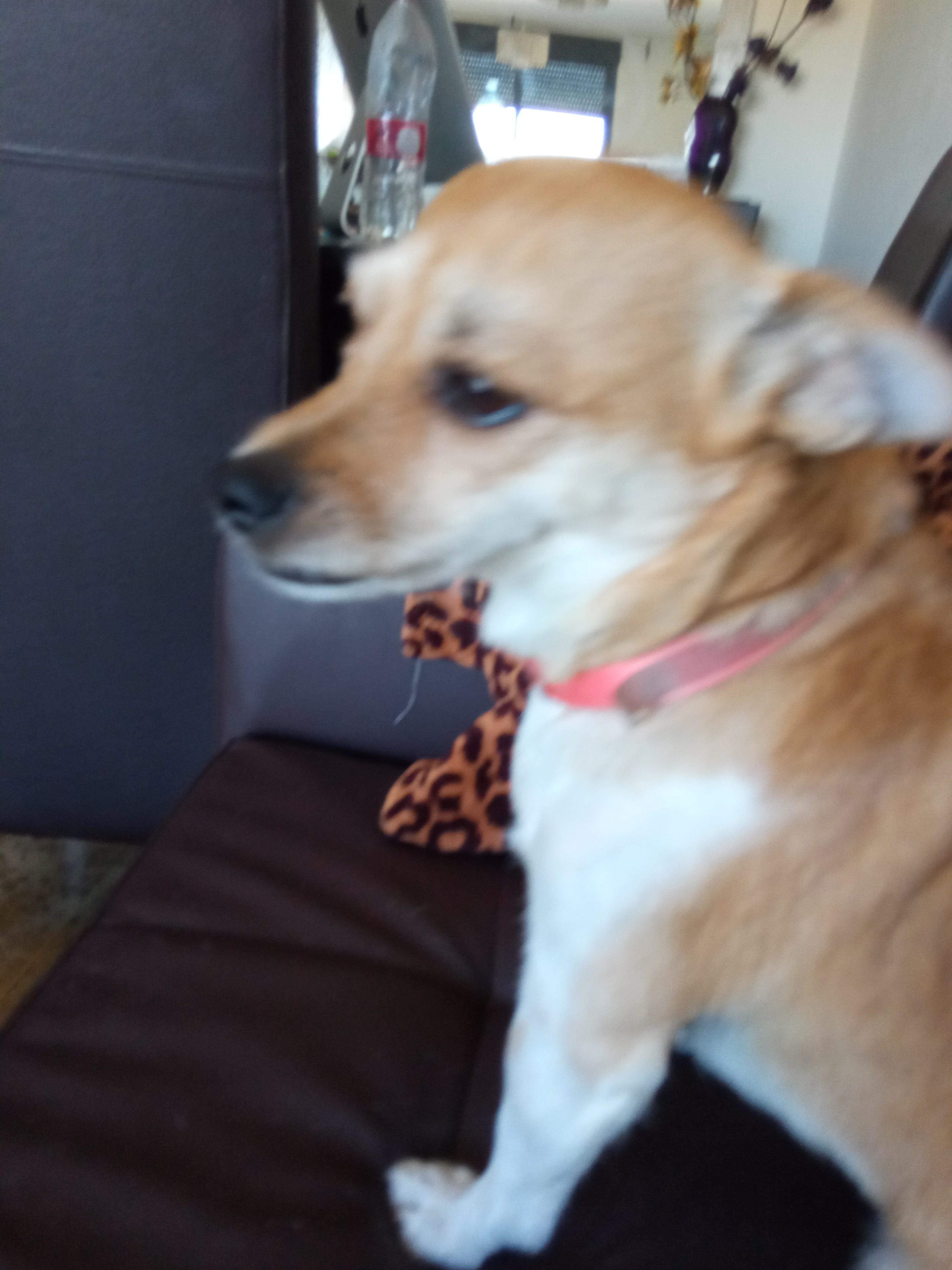 *insert meme about anxiety here* | Scrolller