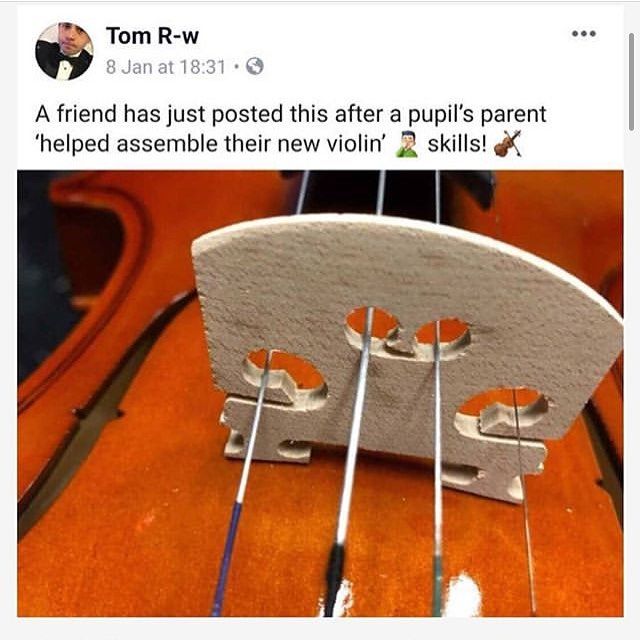 instagram credits: @just.another.viola.player | Scrolller