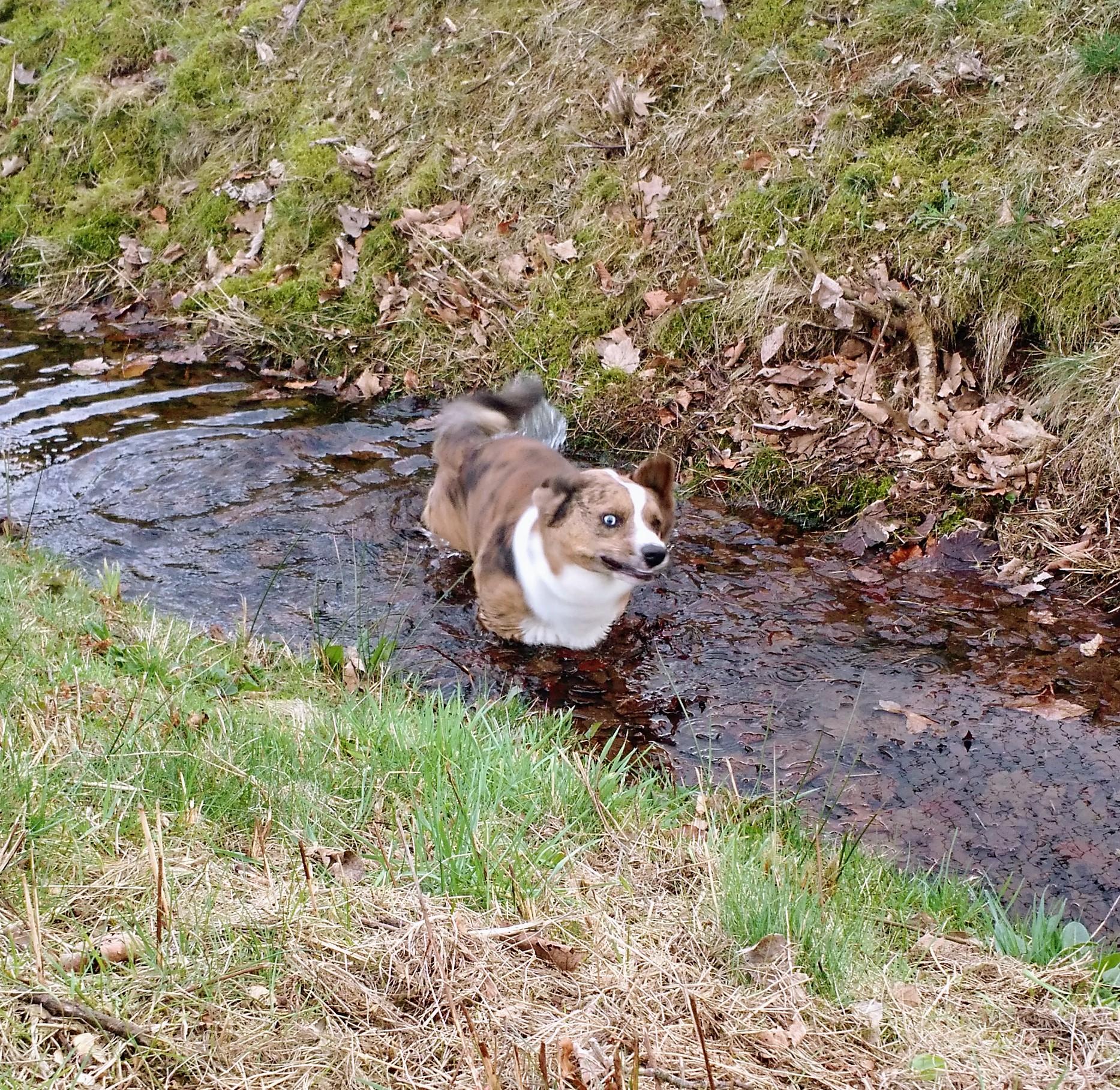 Instant regret | Scrolller