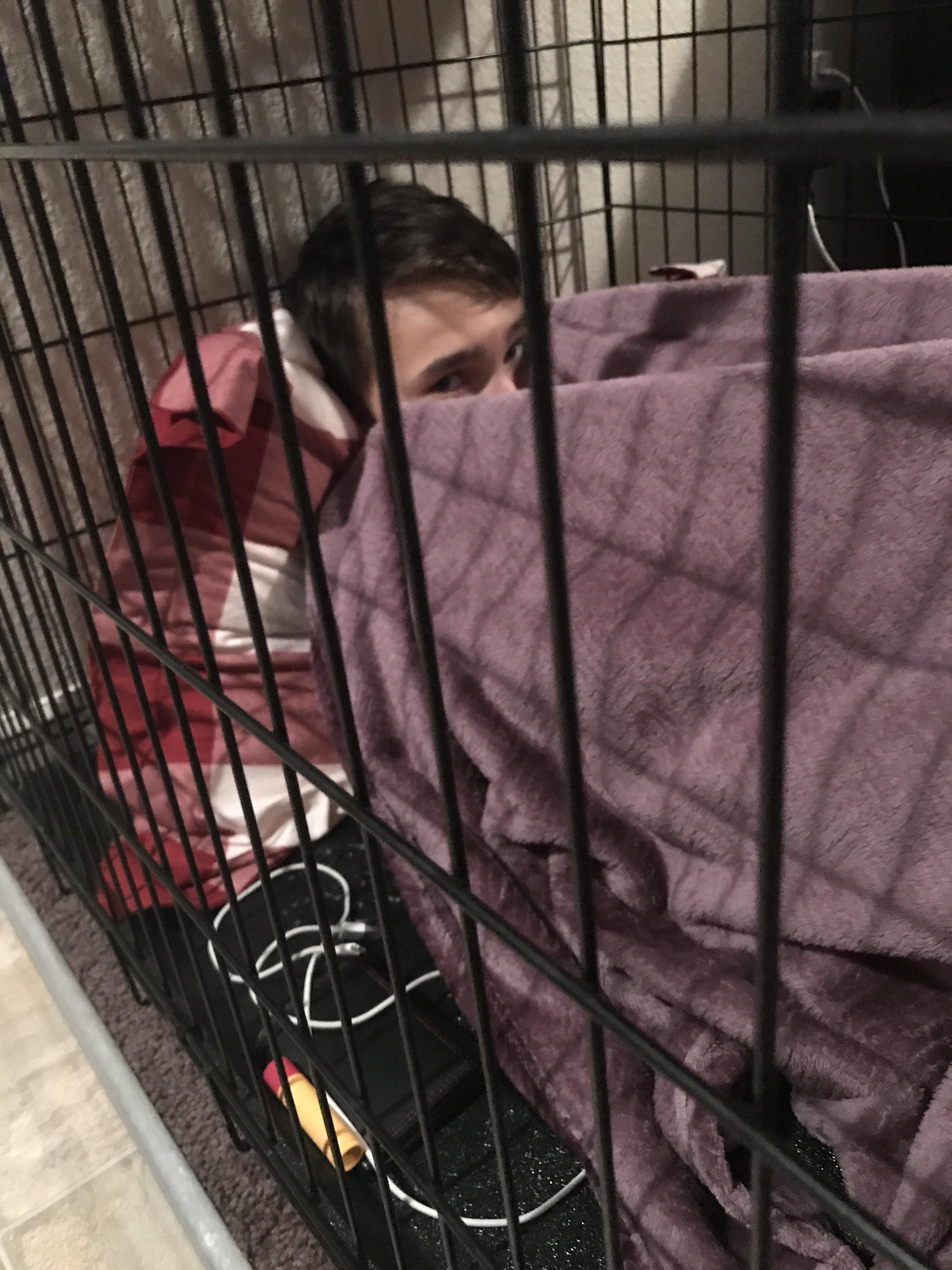 Instructions unclear stuck in cage send help | Scrolller