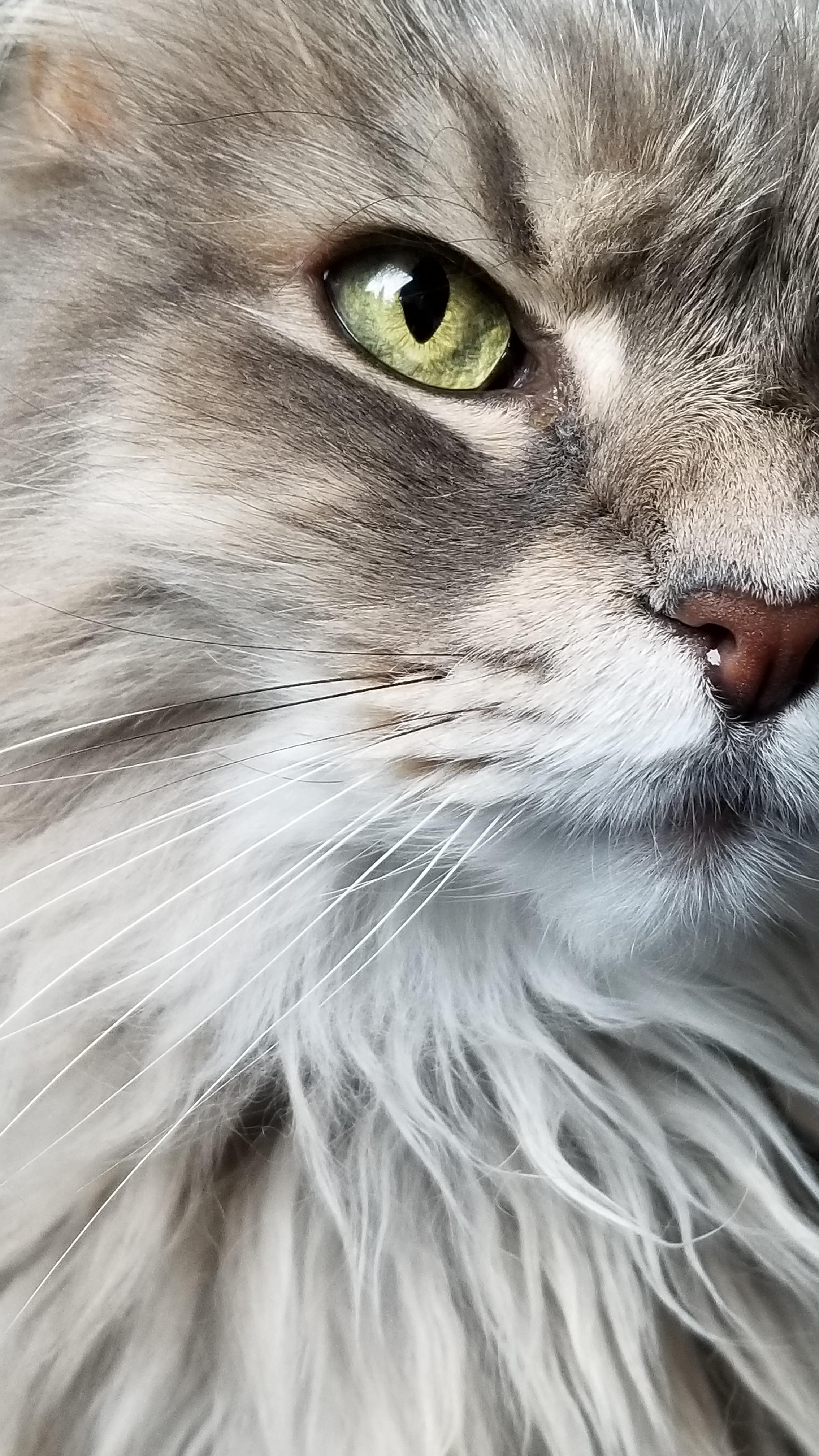 Intense selfie | Scrolller