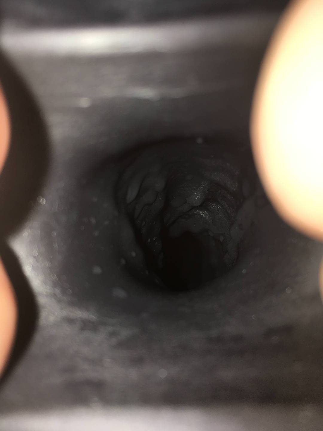 Internal Photos of Mary, Hazel, Snowball, Sugar Star, Zoie, Janine's Muzzle | Scrolller