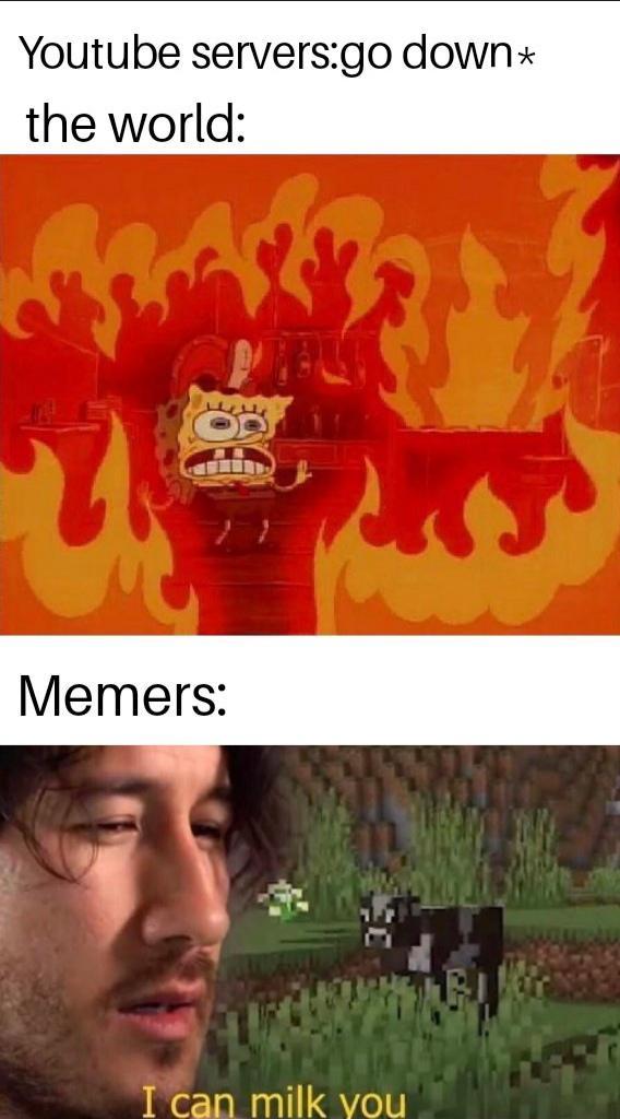 *internal screaming* where are my vidoesss | Scrolller