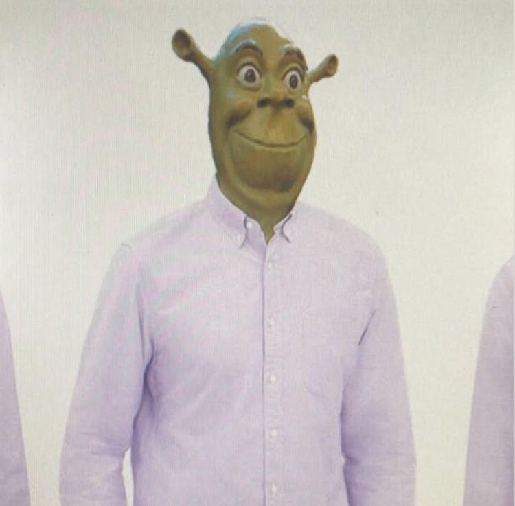 Invest in this cursed normal Shrek meme | Scrolller