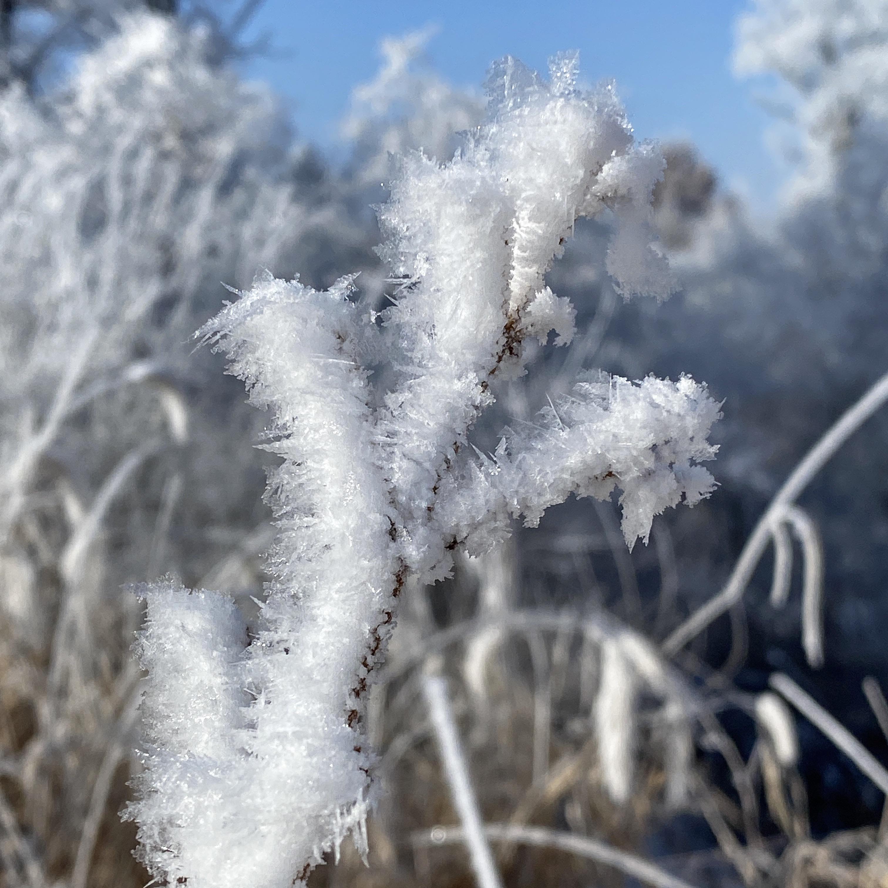 Iowa January 3rd, 2021 | Scrolller