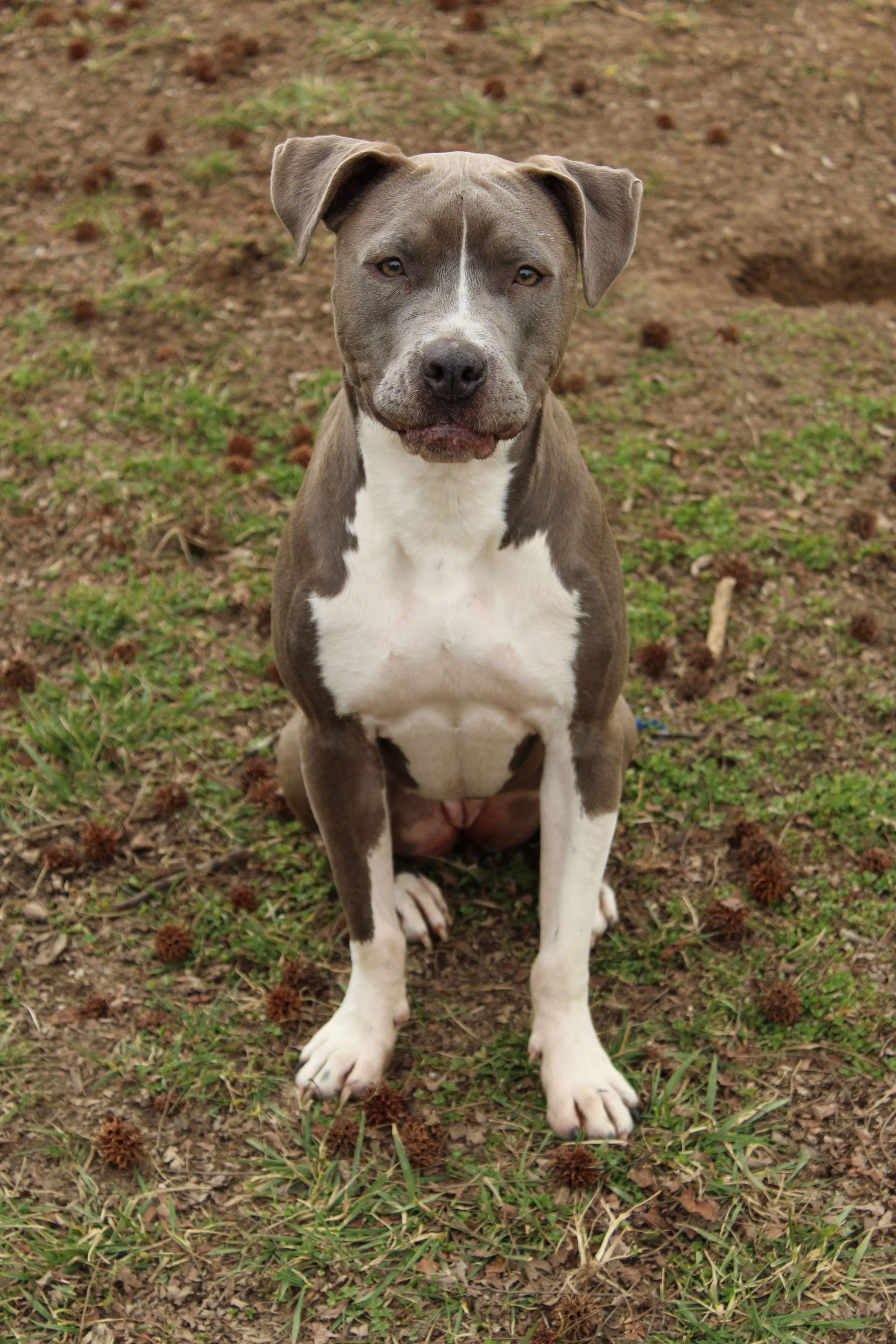 Iris gets by on her good looks. | Scrolller