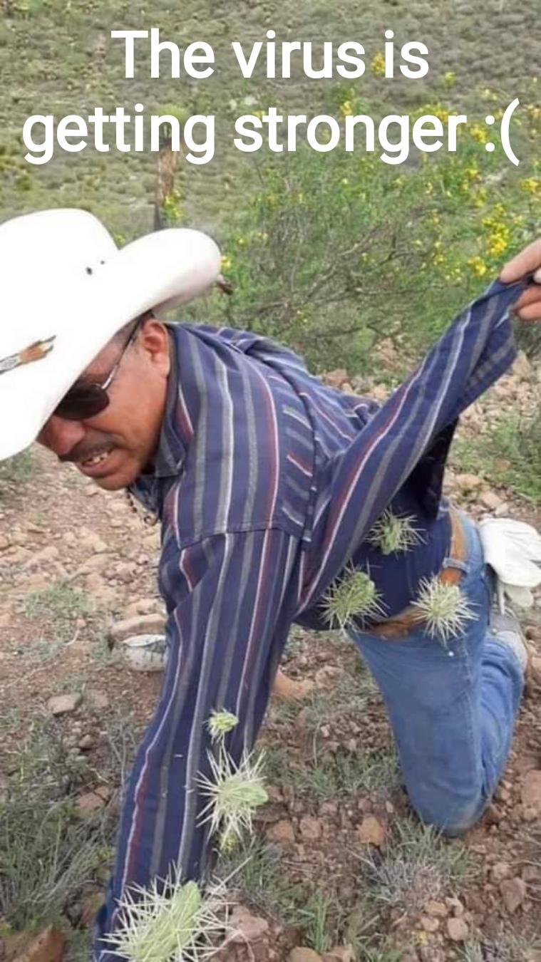 Is getting stronger | Scrolller