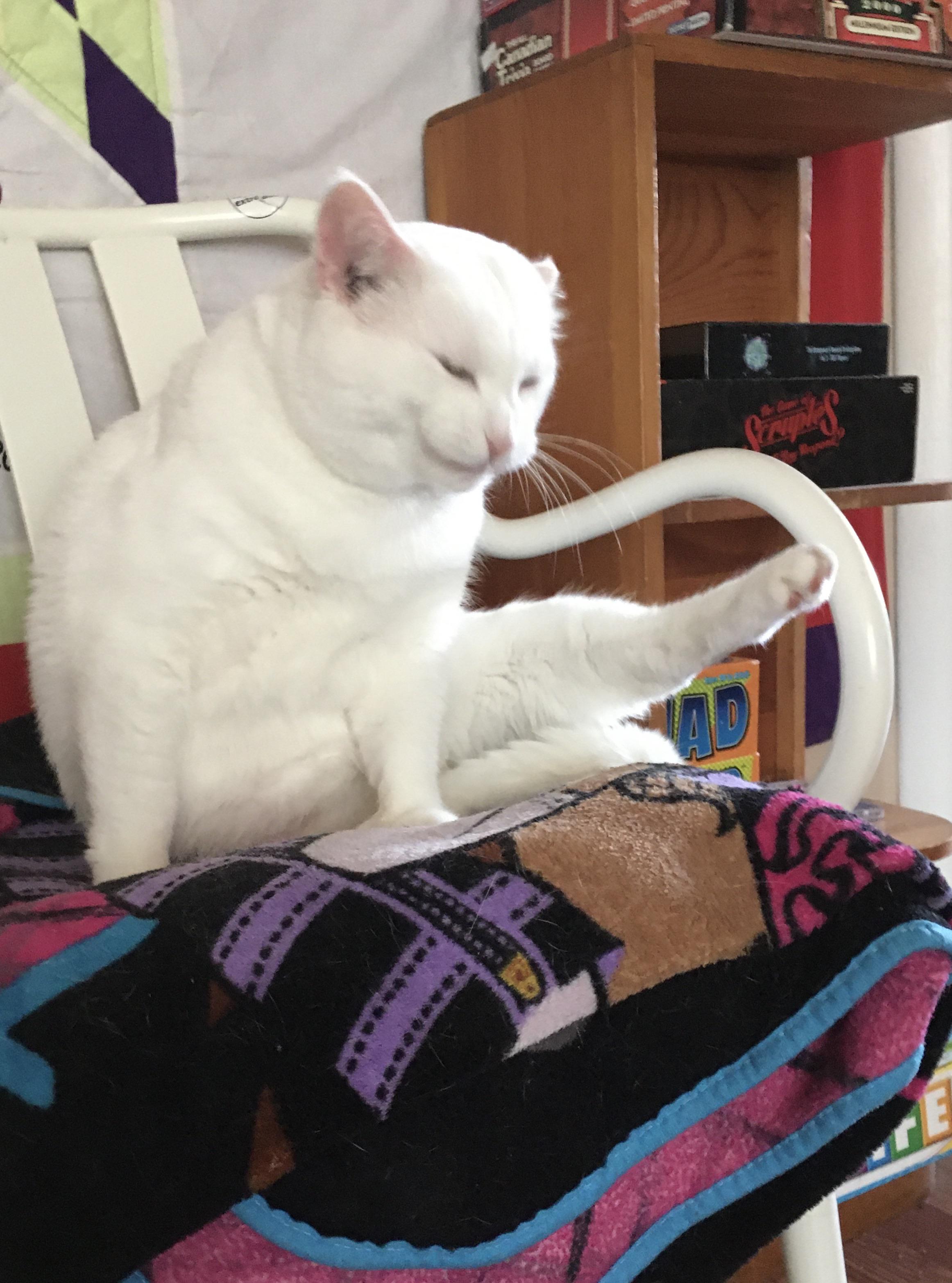 Is he scrunge enough | Scrolller