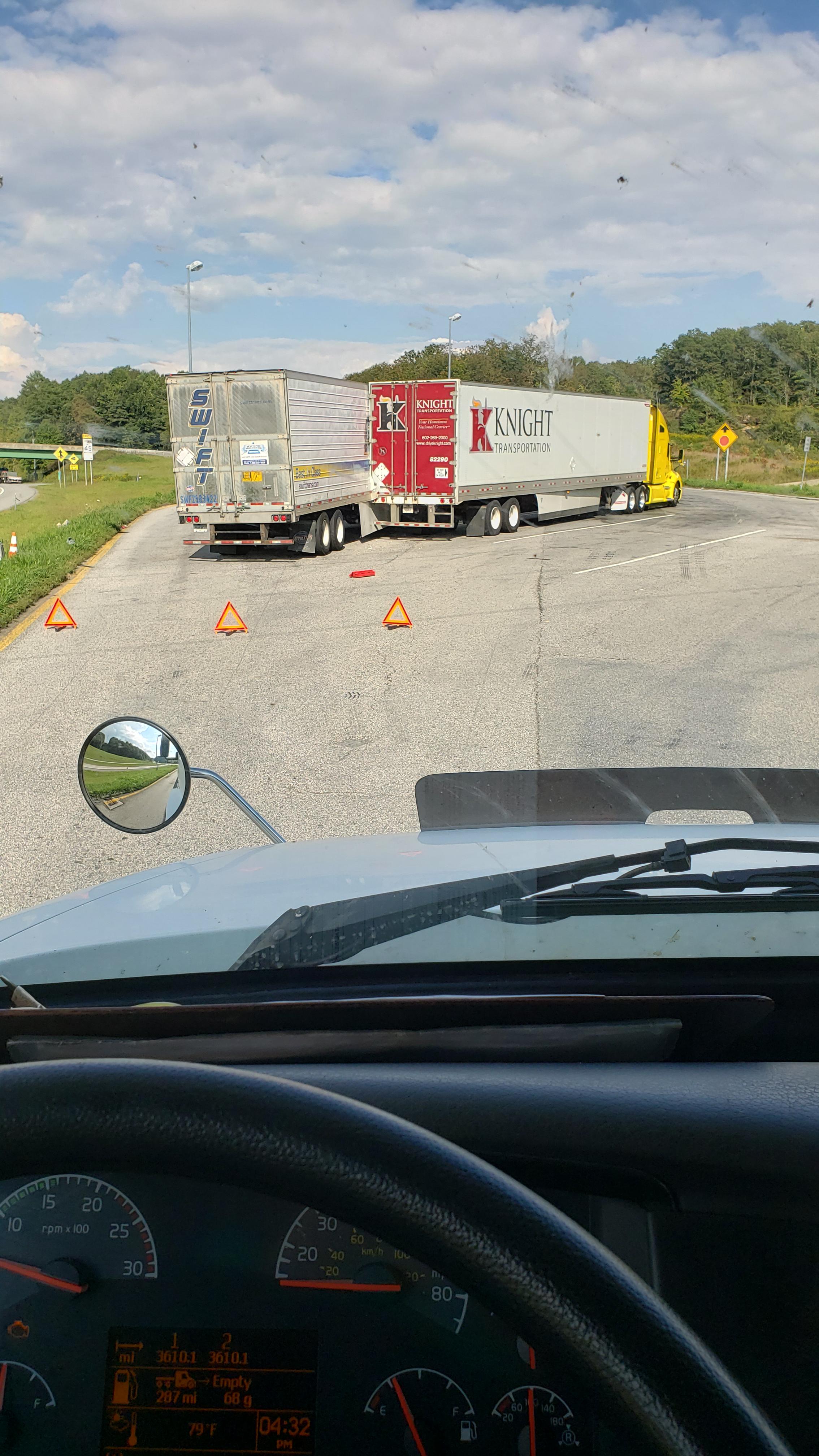 Is it mating season already!? | Scrolller