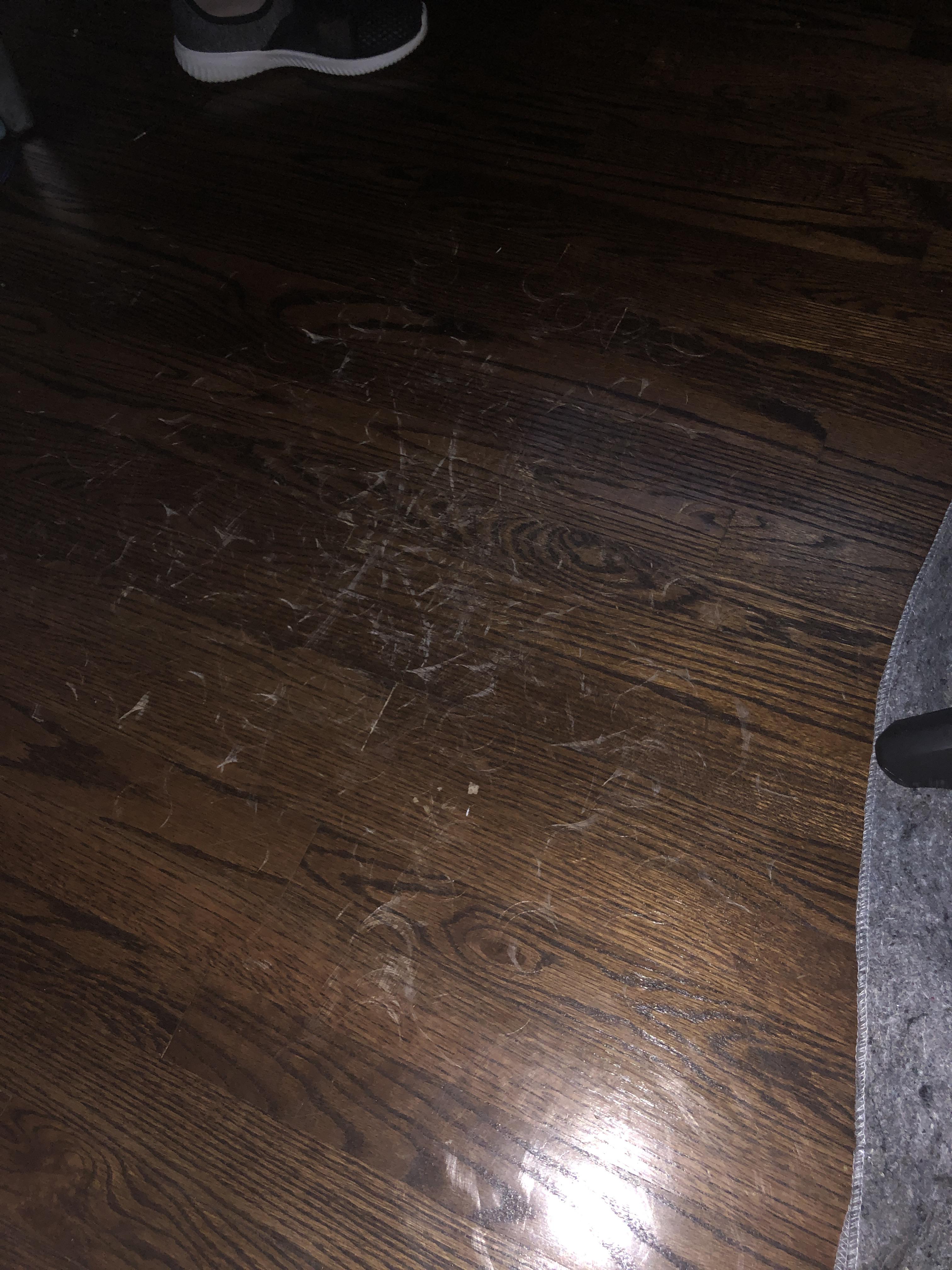 Is there any way to fix this? Very important! | Scrolller