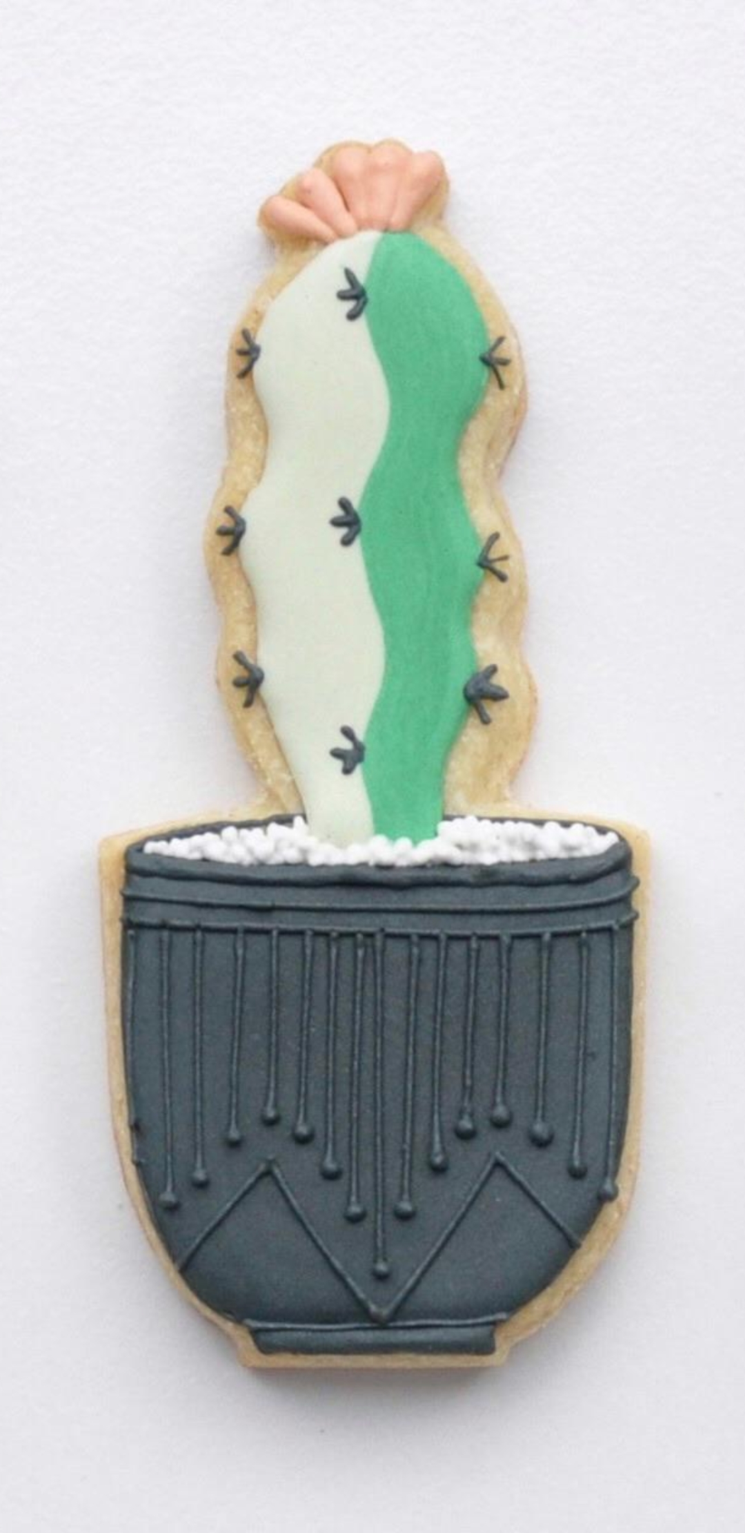 Is this active? | Scrolller