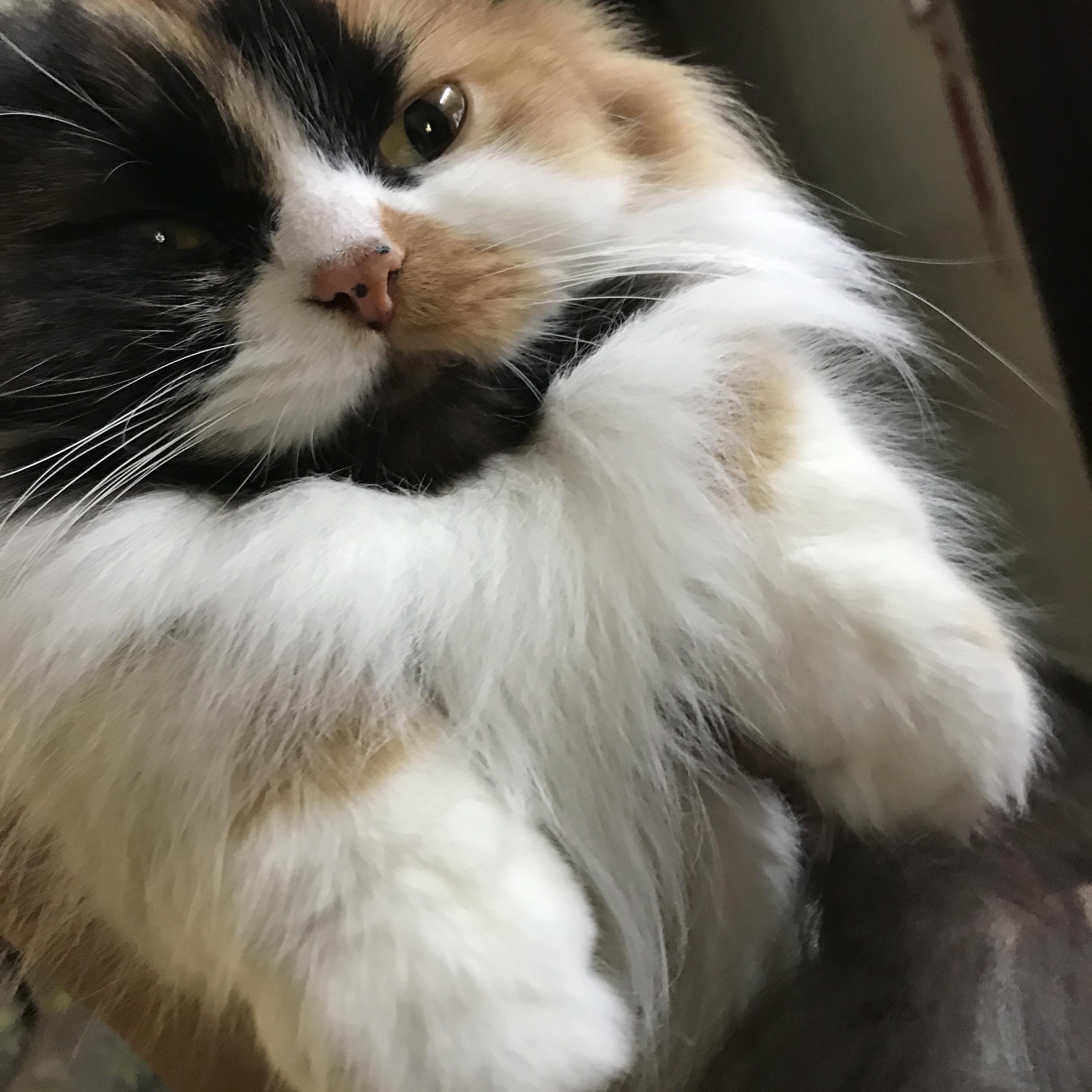 Isnt She The Cutest Scrolller