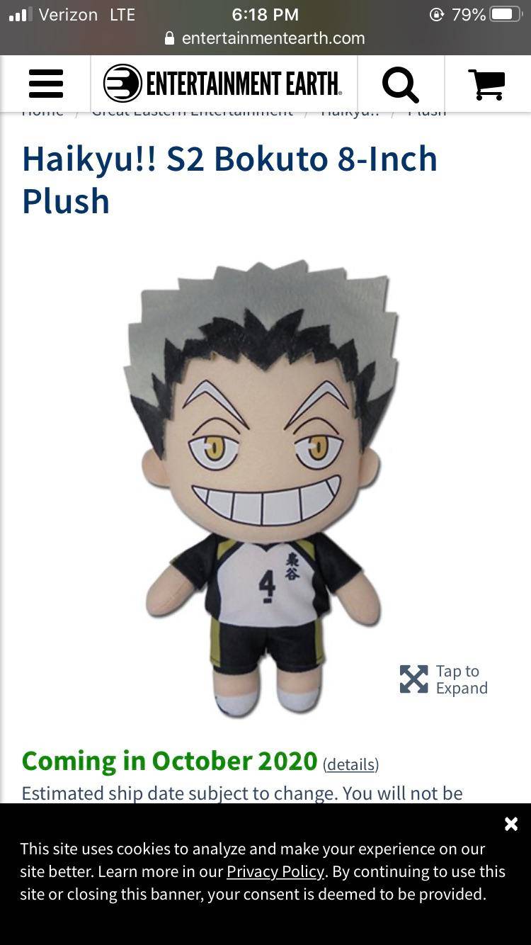 ISO: Bokuto Plush (any help welcome!!) | Scrolller