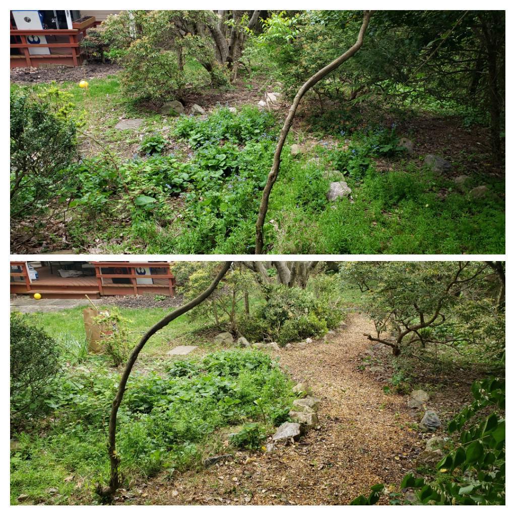 It ain't pretty, but it's progress! | Scrolller