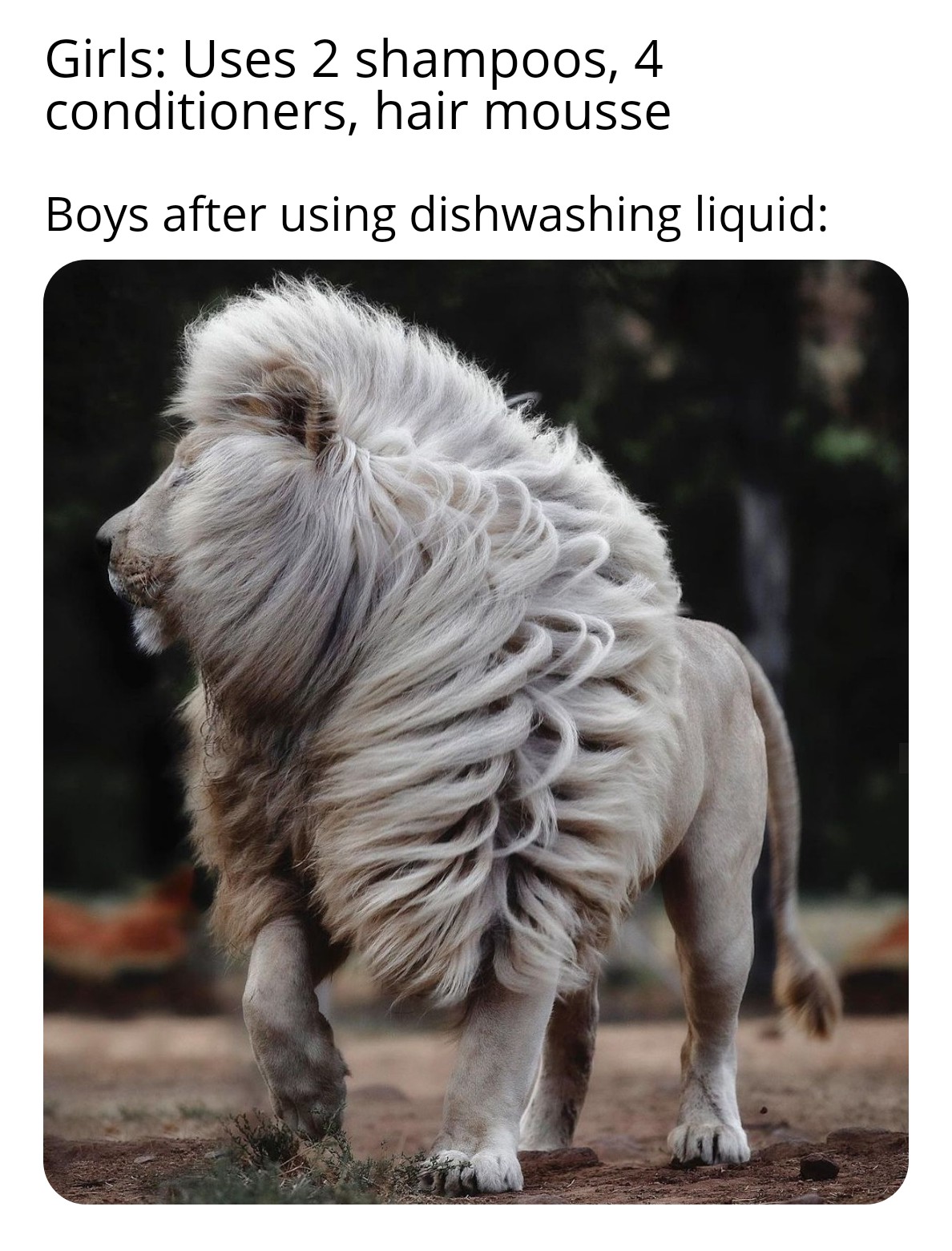 It do be like that! | Scrolller