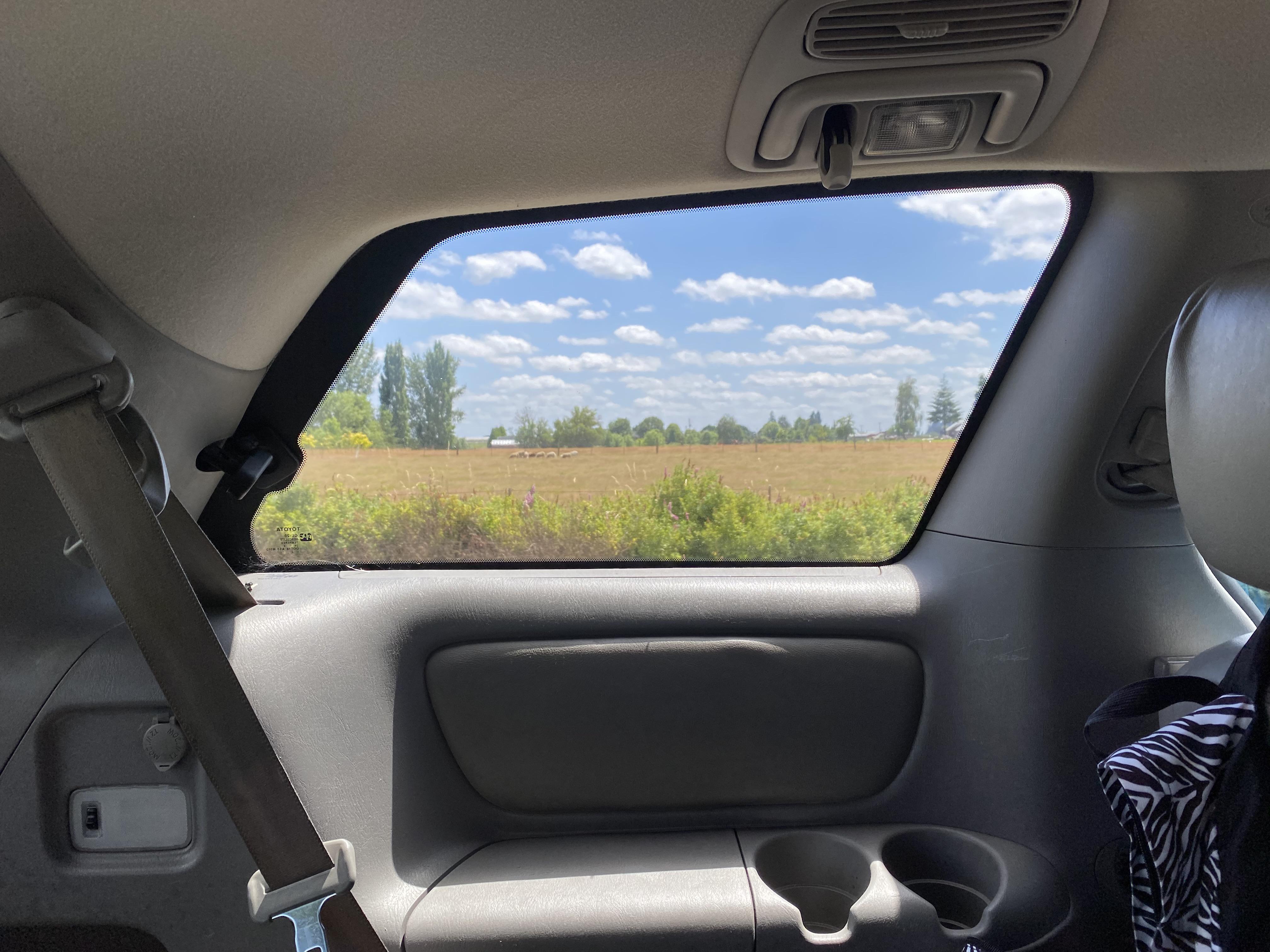 It’s a painting outside | Scrolller