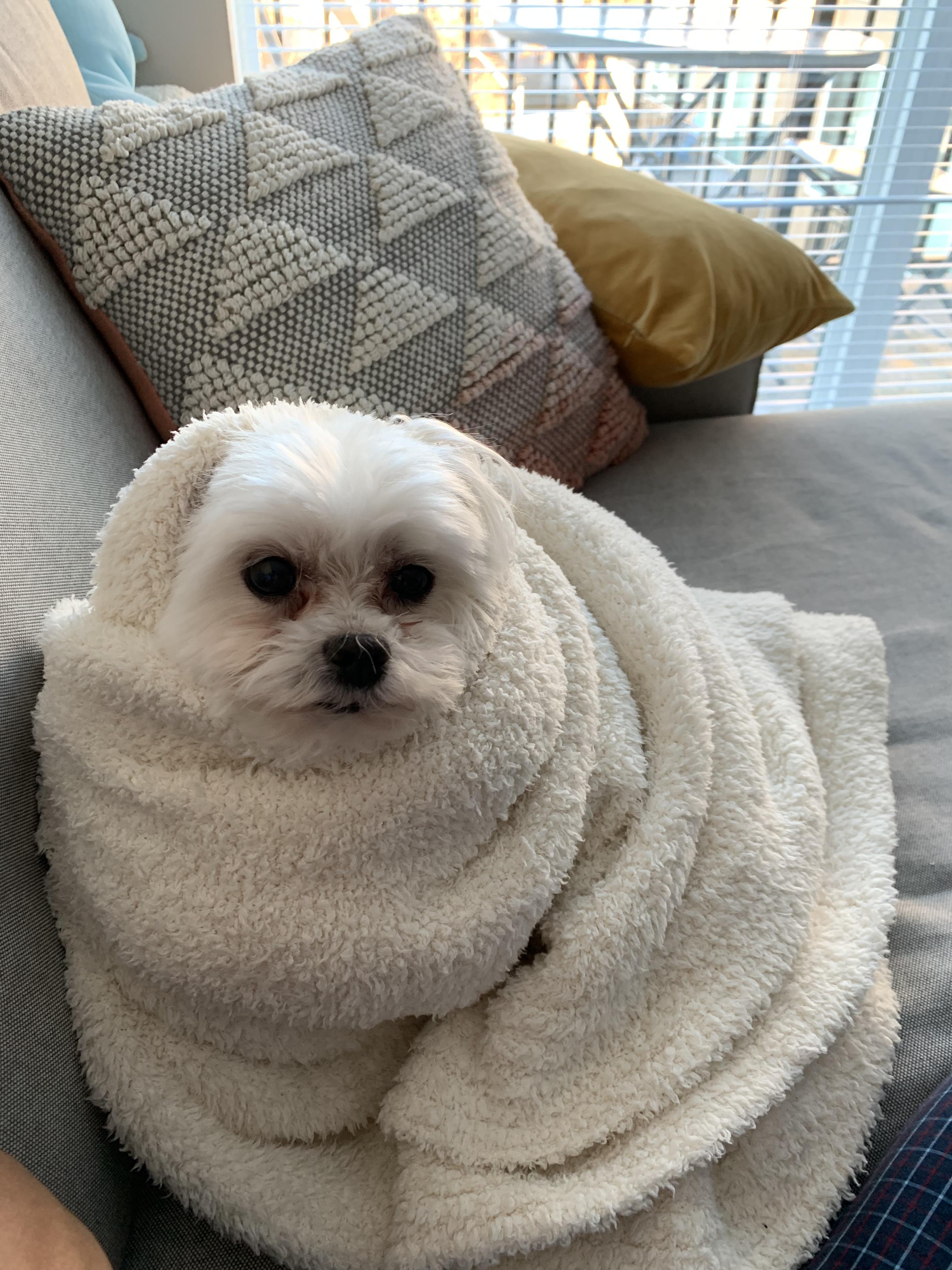 It’s a wittle chilly | Scrolller