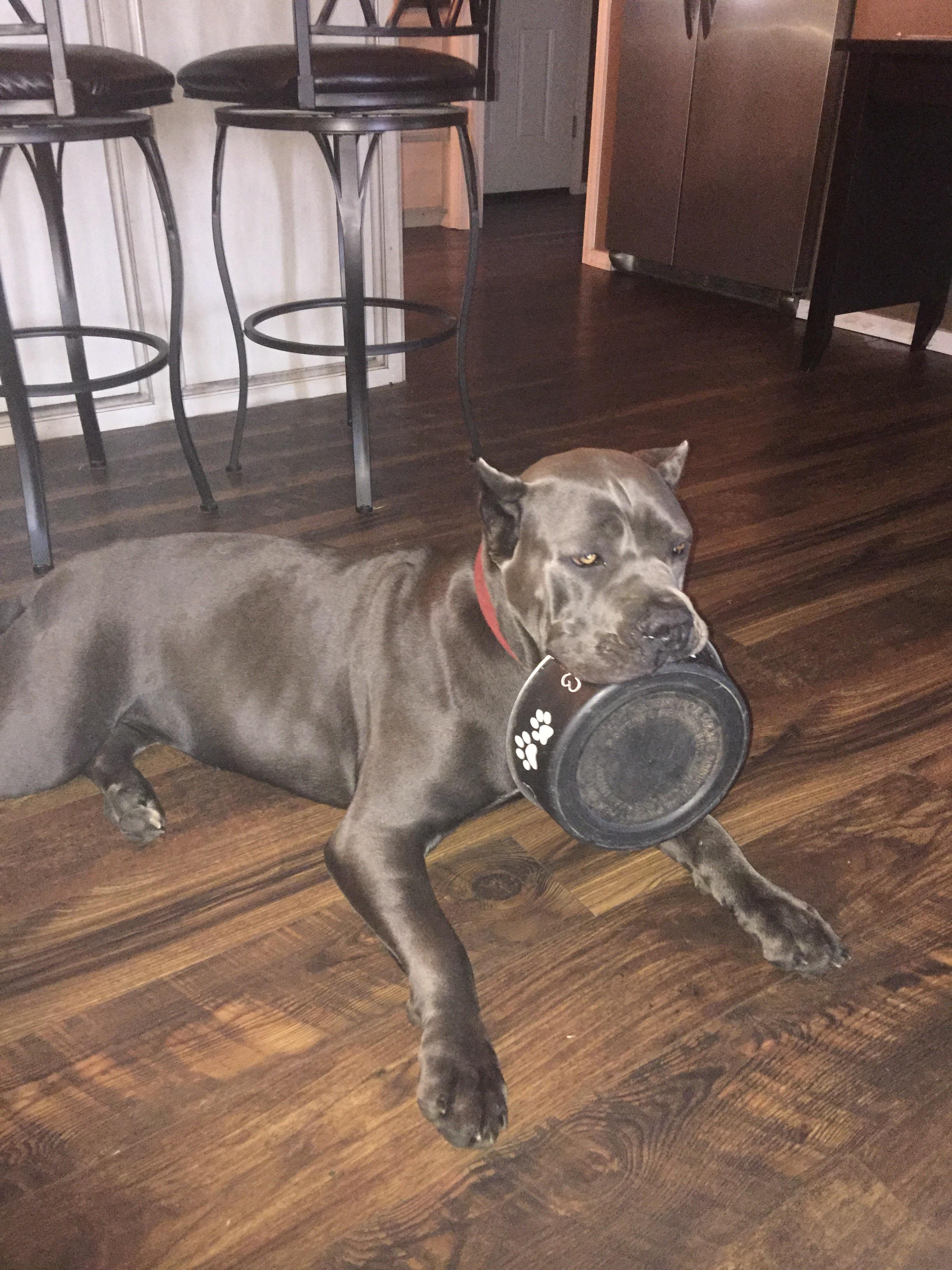 It’s chow time | Scrolller